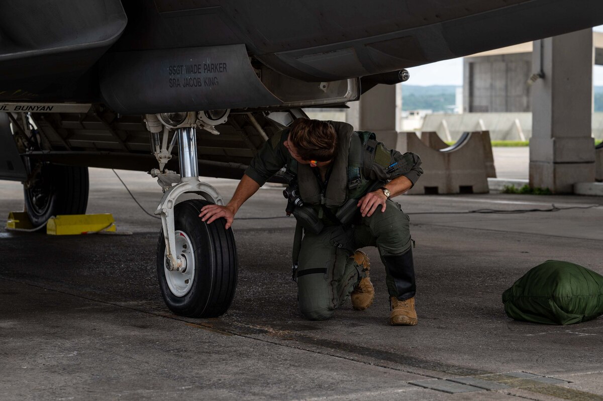 Raptors and falcons nest at Kadena > Kadena Air Base > Article Display