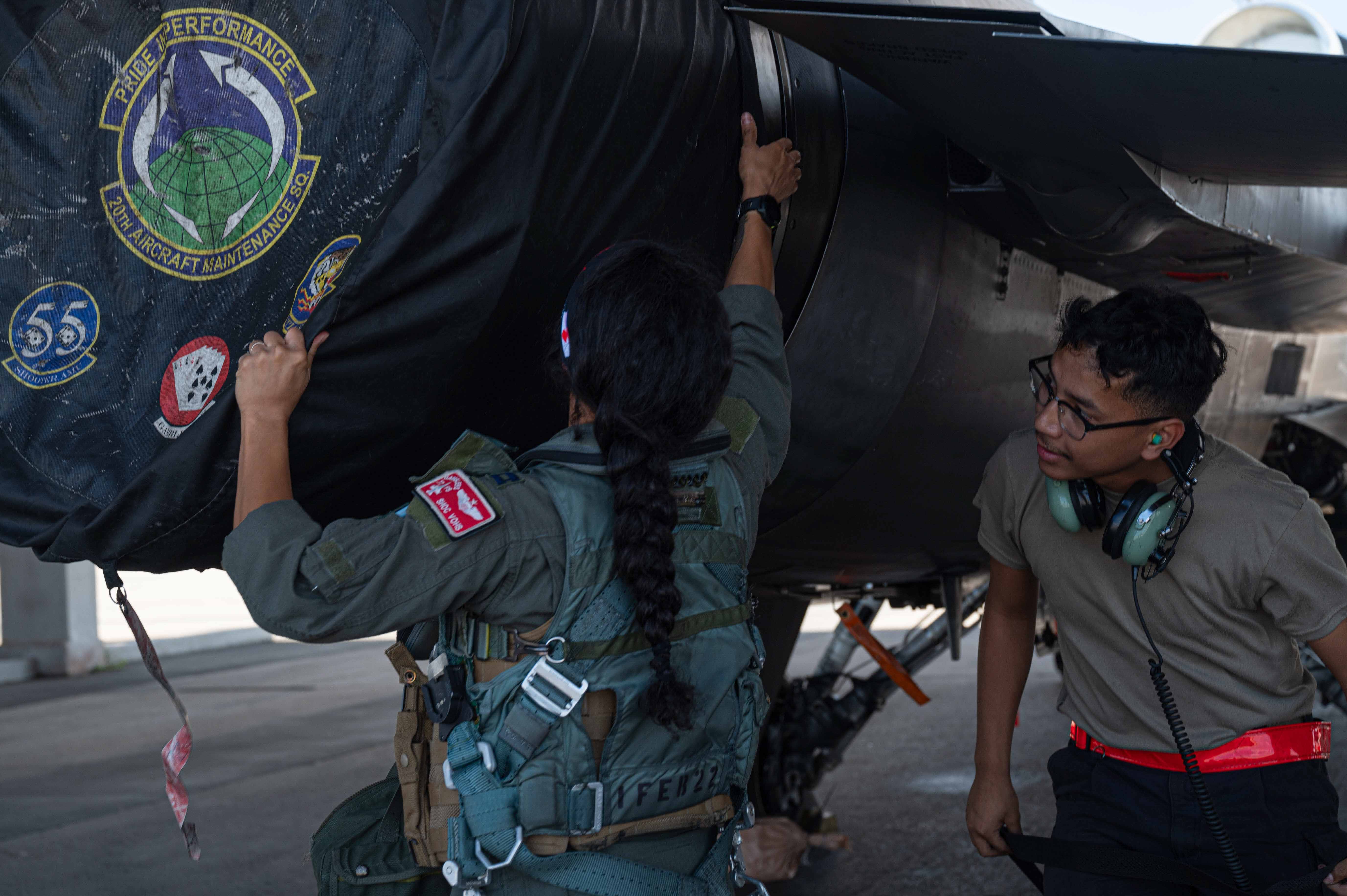 Raptors and falcons nest at Kadena > Kadena Air Base > Article Display