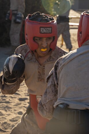 Charlie Company Body Sparring