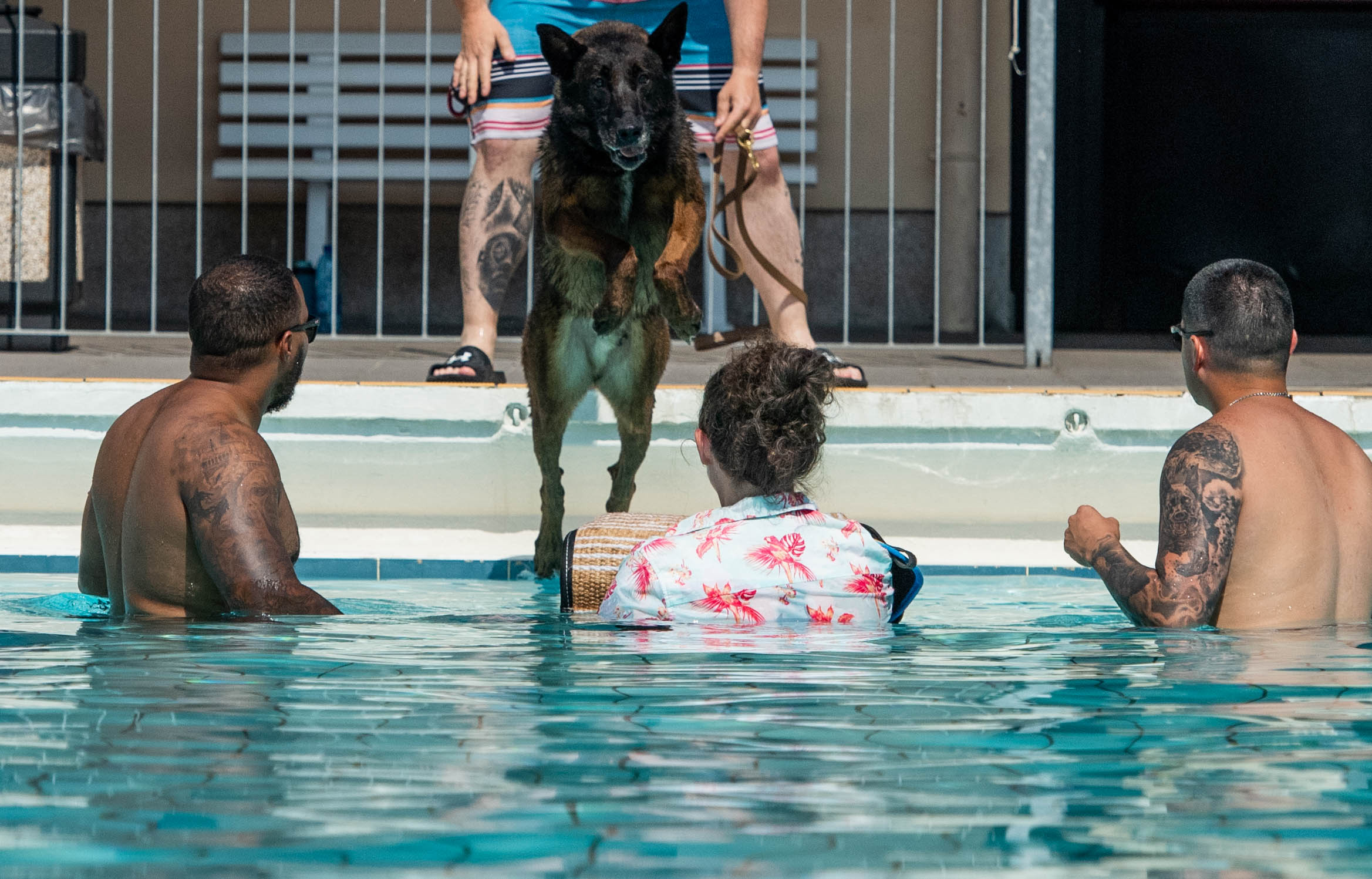 MWD Water Training > Aviano Air Base > Display