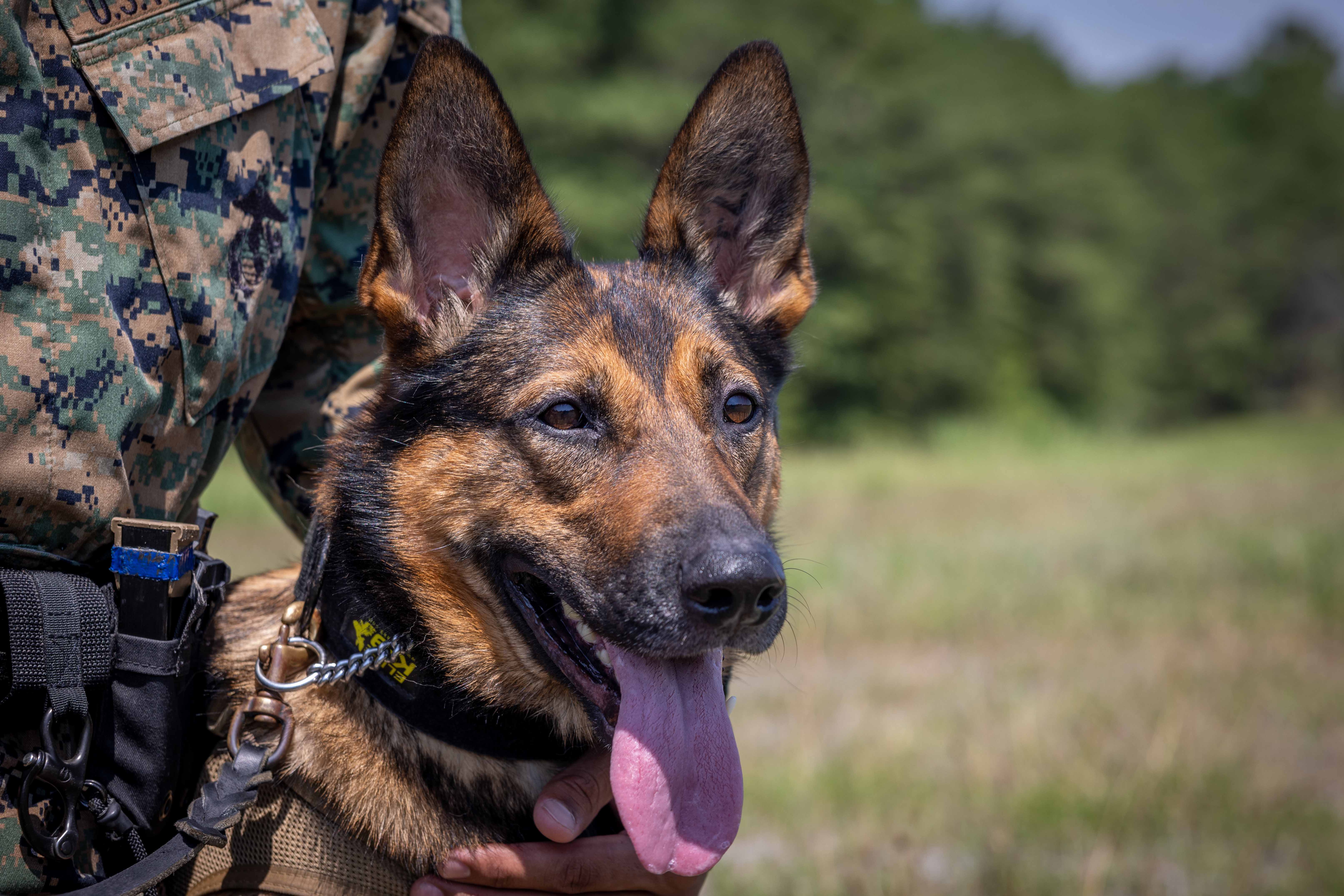 Quantico’s Finest | U.S. Department of War