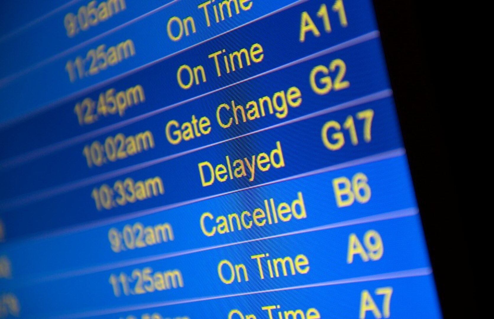 Safeguarding Against Common Disruptions during Official Travel ...