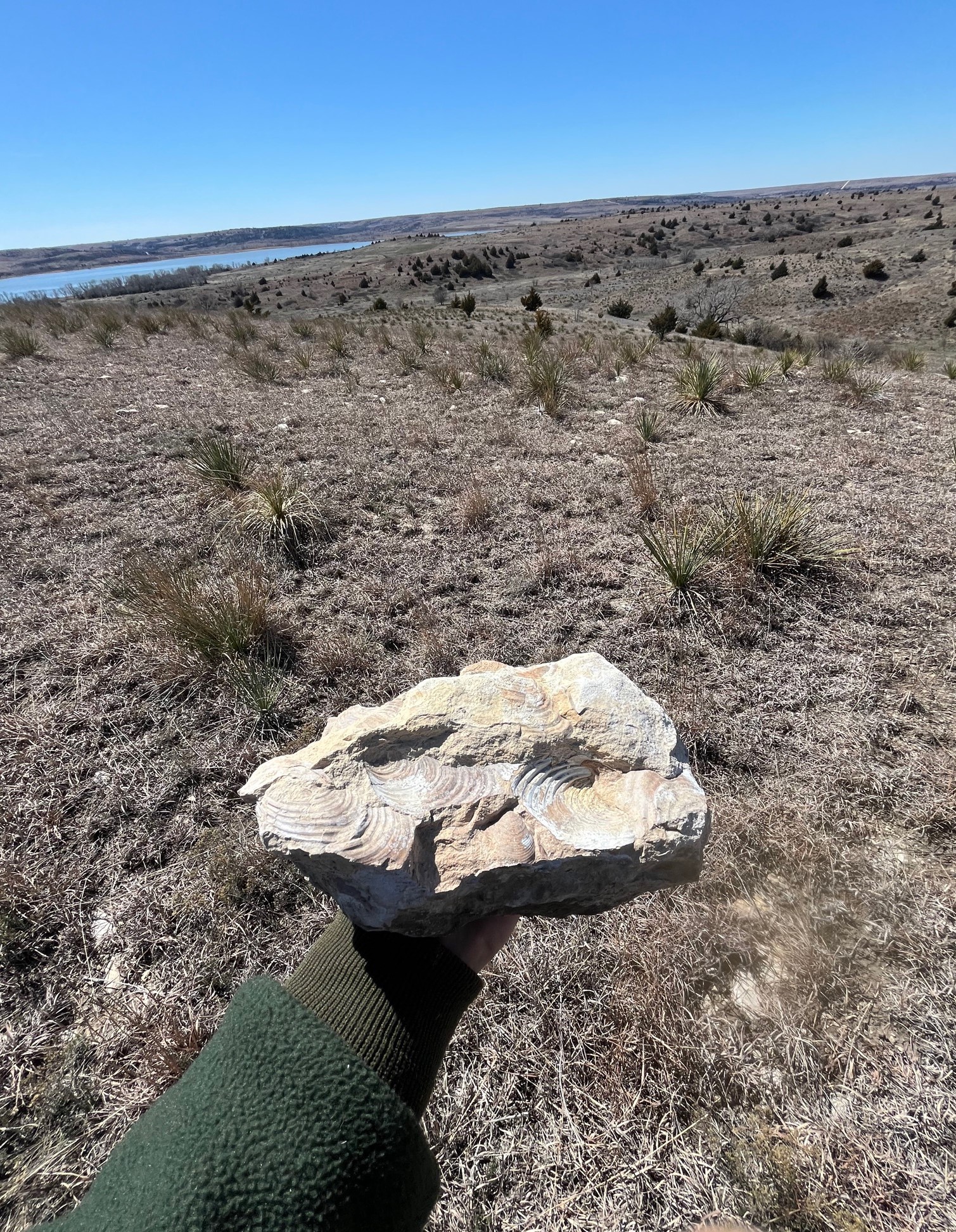 A trip through geological time: Wilson Lake’s unique topography makes ...