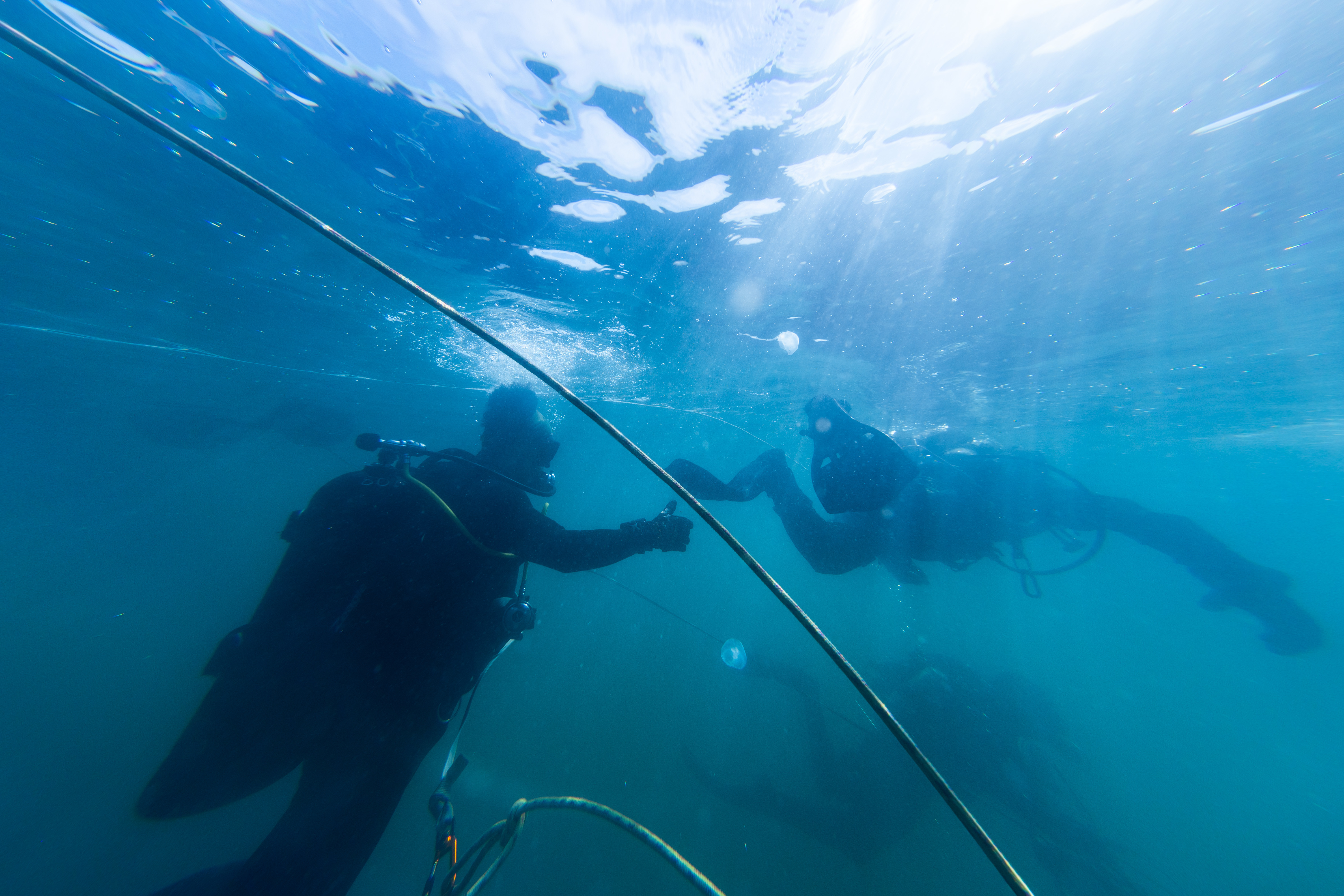 Exercise Sea Breeze 2024 Concludes in Varna, Bulgaria > United States ...