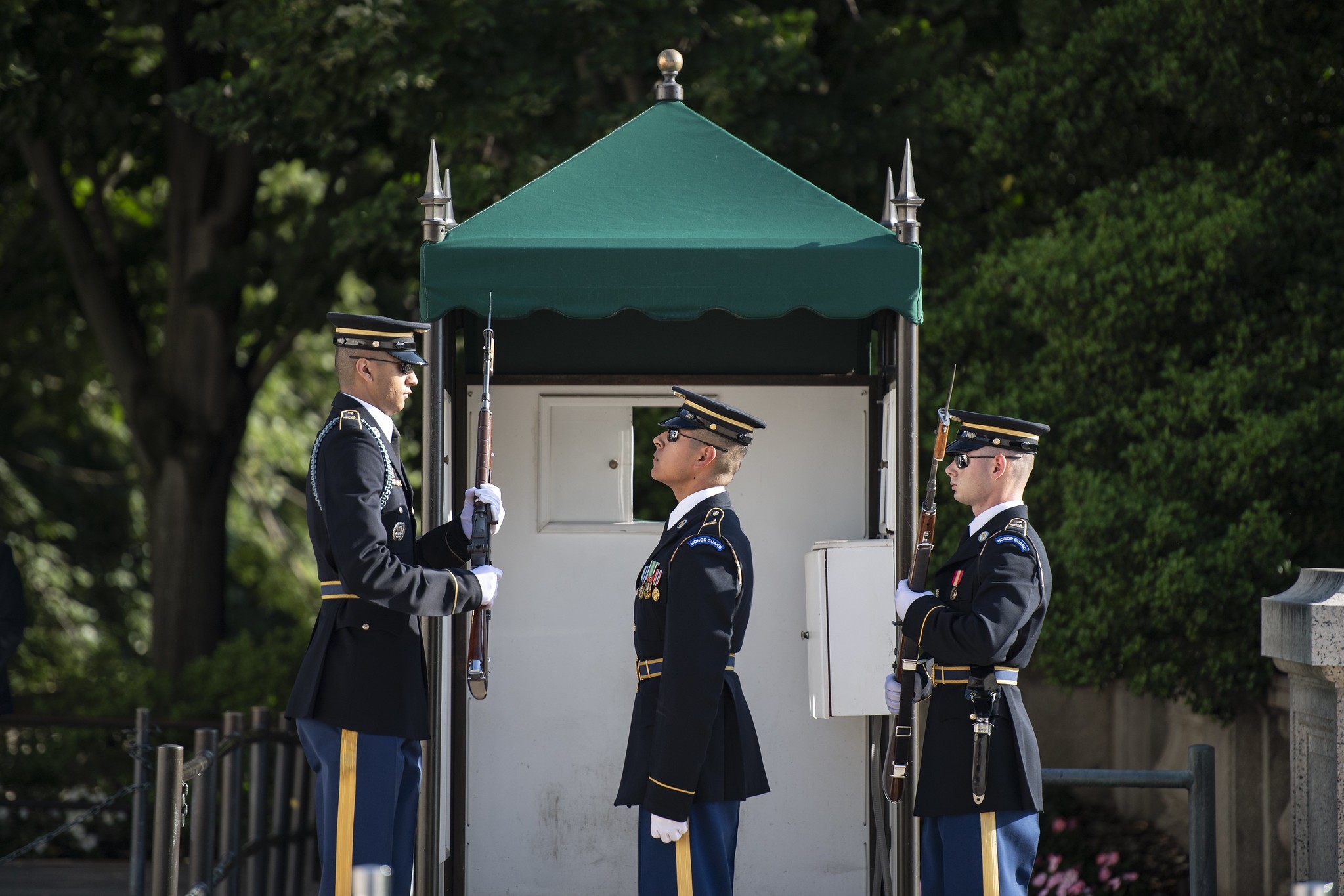 Standing tall at the Tomb of the Unknown Soldier