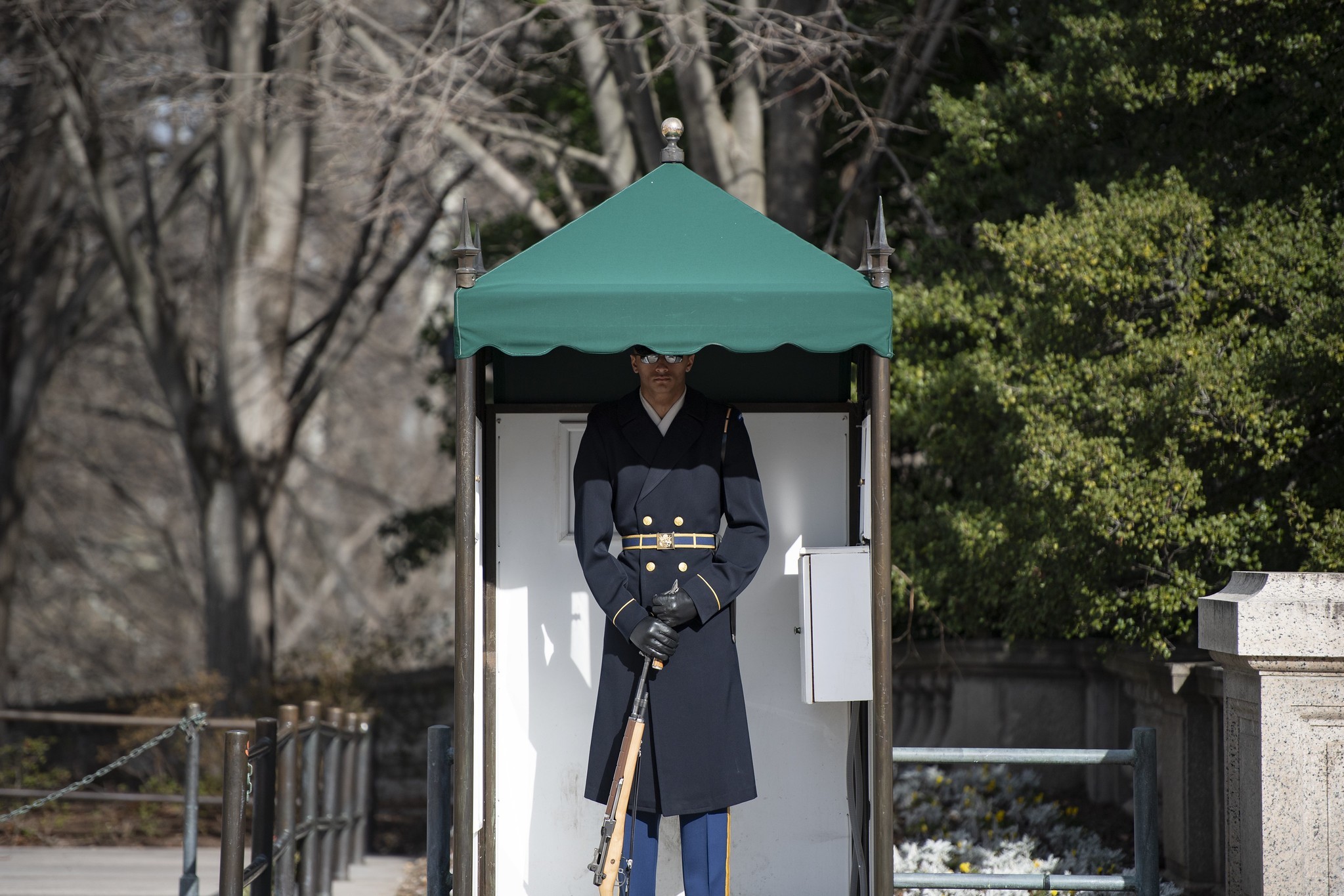 Standing tall at the Tomb of the Unknown Soldier > JTF-NCR/USAMDW ...