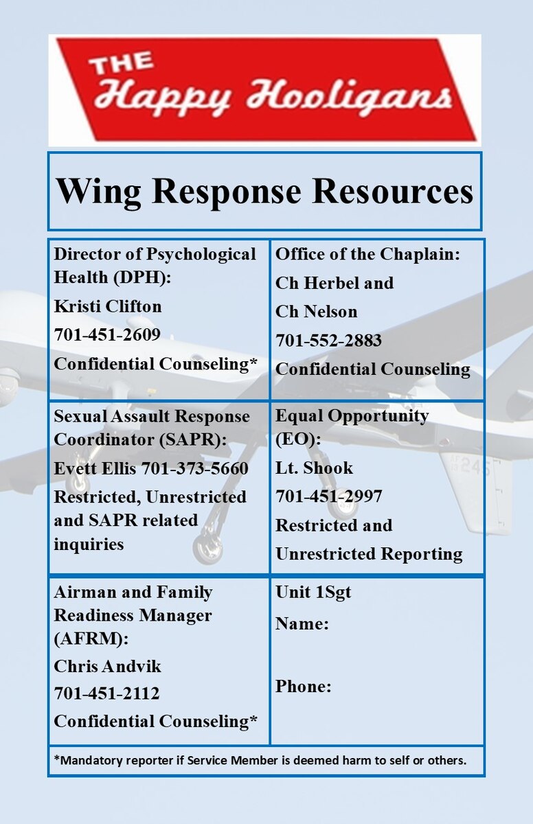 Airman & Family Readiness Programs > 119th Wing > Display
