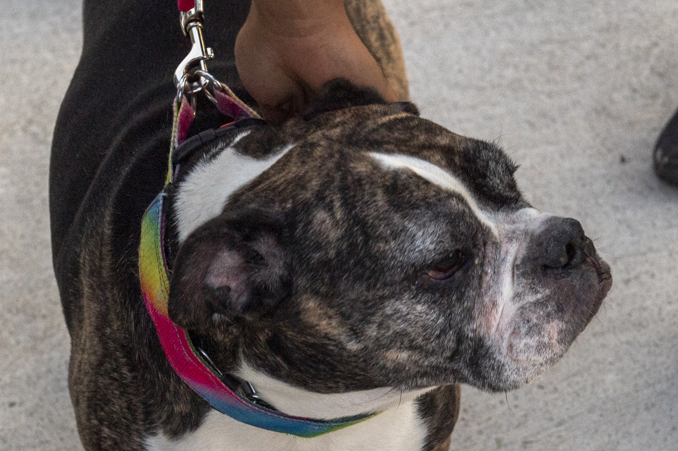 57th RQS returns with honor > Aviano Air Base > Display