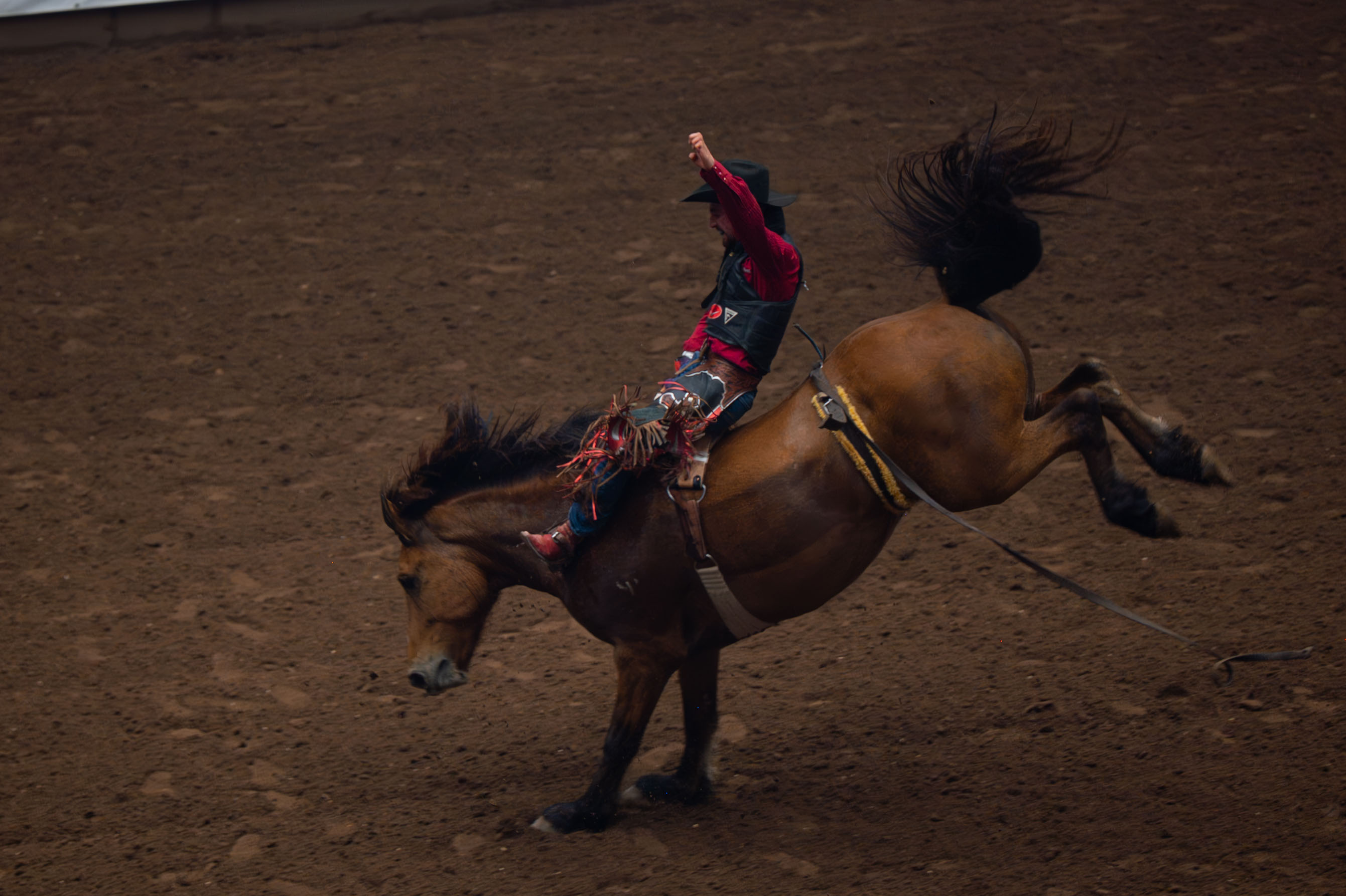 Goodfellow Partners with the 2025 San Angelo Stock Show & Rodeo ...