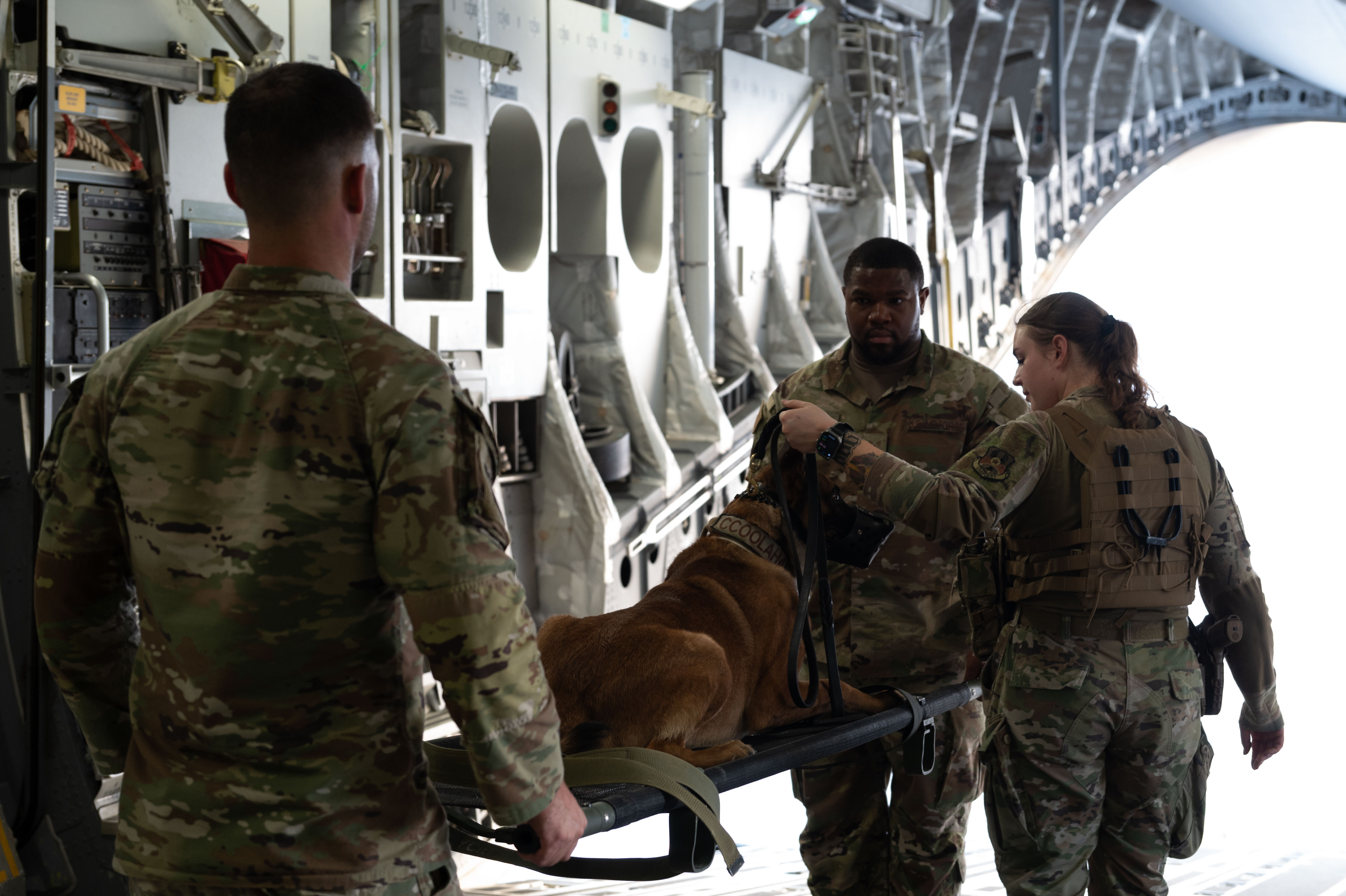 Integrating Care: Strengthening MWD Medical Support > U.S. Air Forces ...