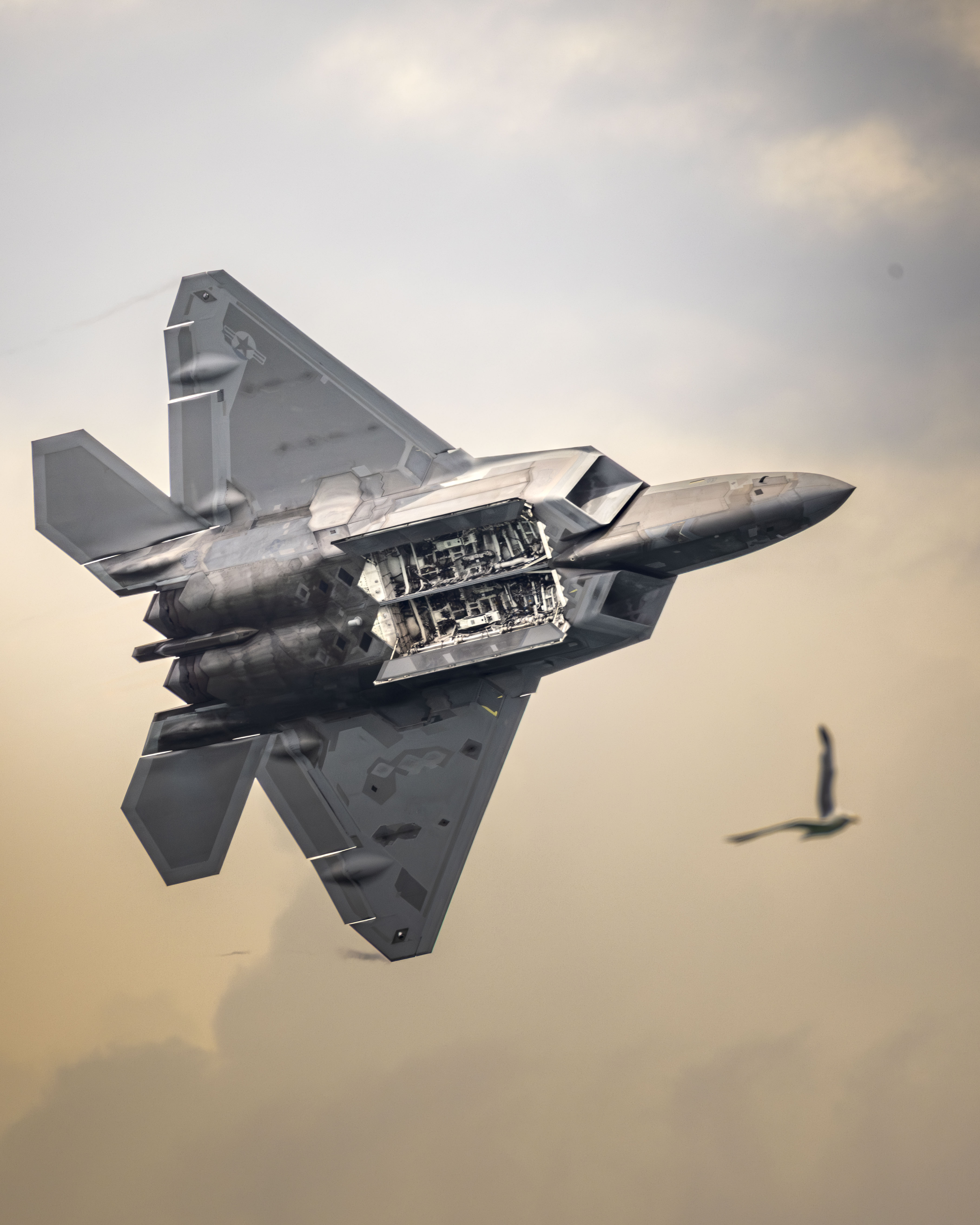 Photos - Search F-22