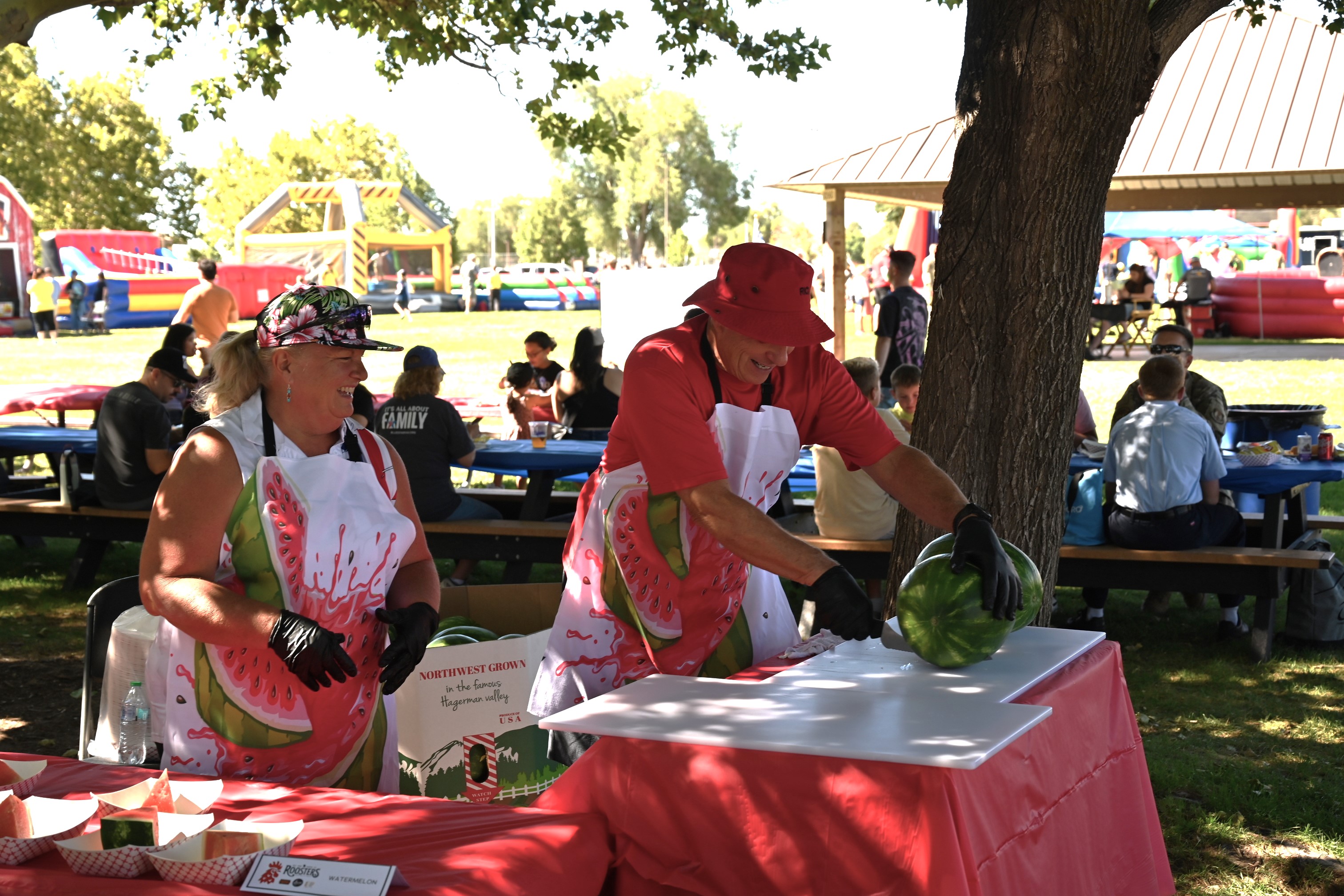 2025 Military Salute Picnic > Hill Air Force Base > Article Display