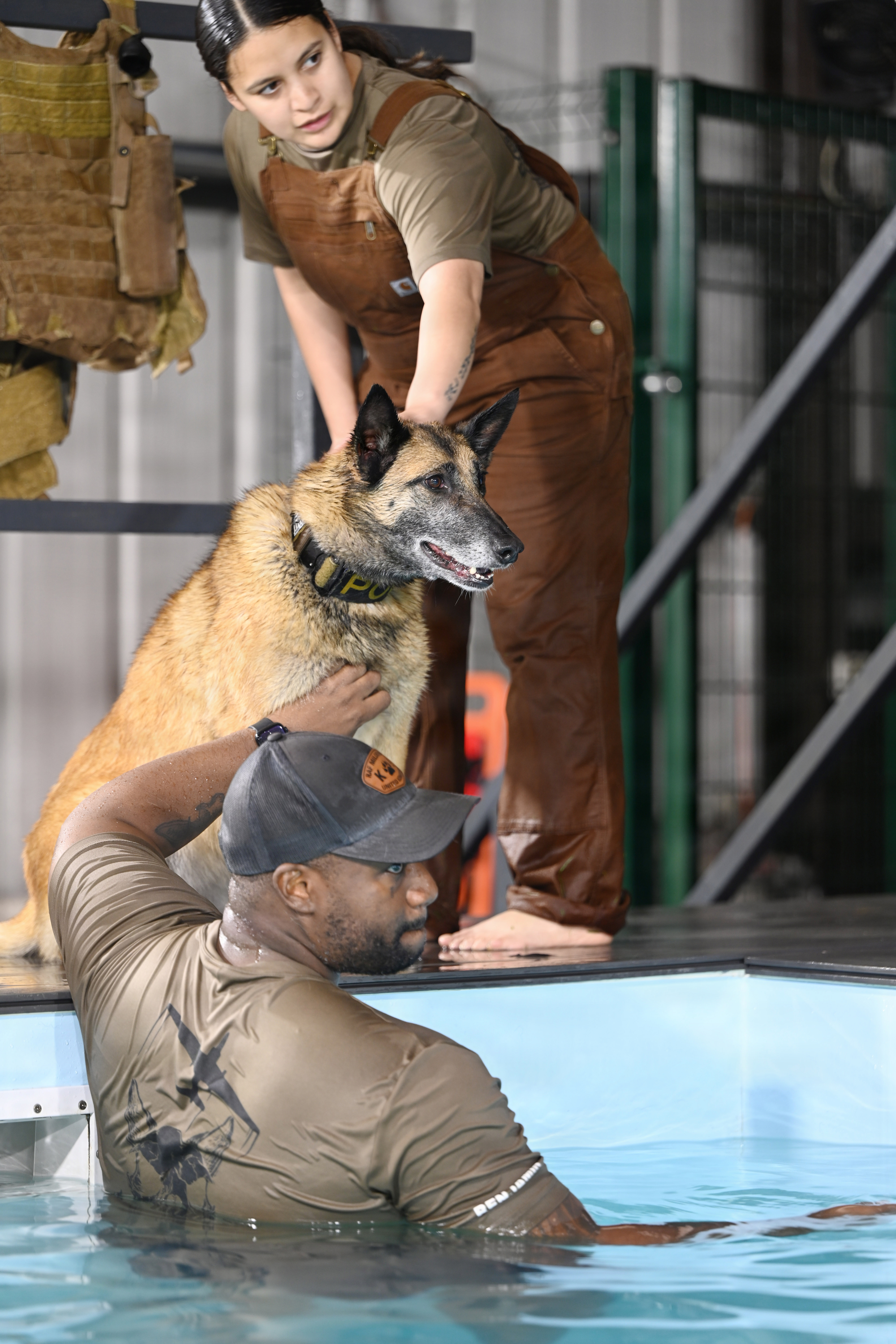 RAFM MWDs perform first water-confidence training > Royal Air Force ...