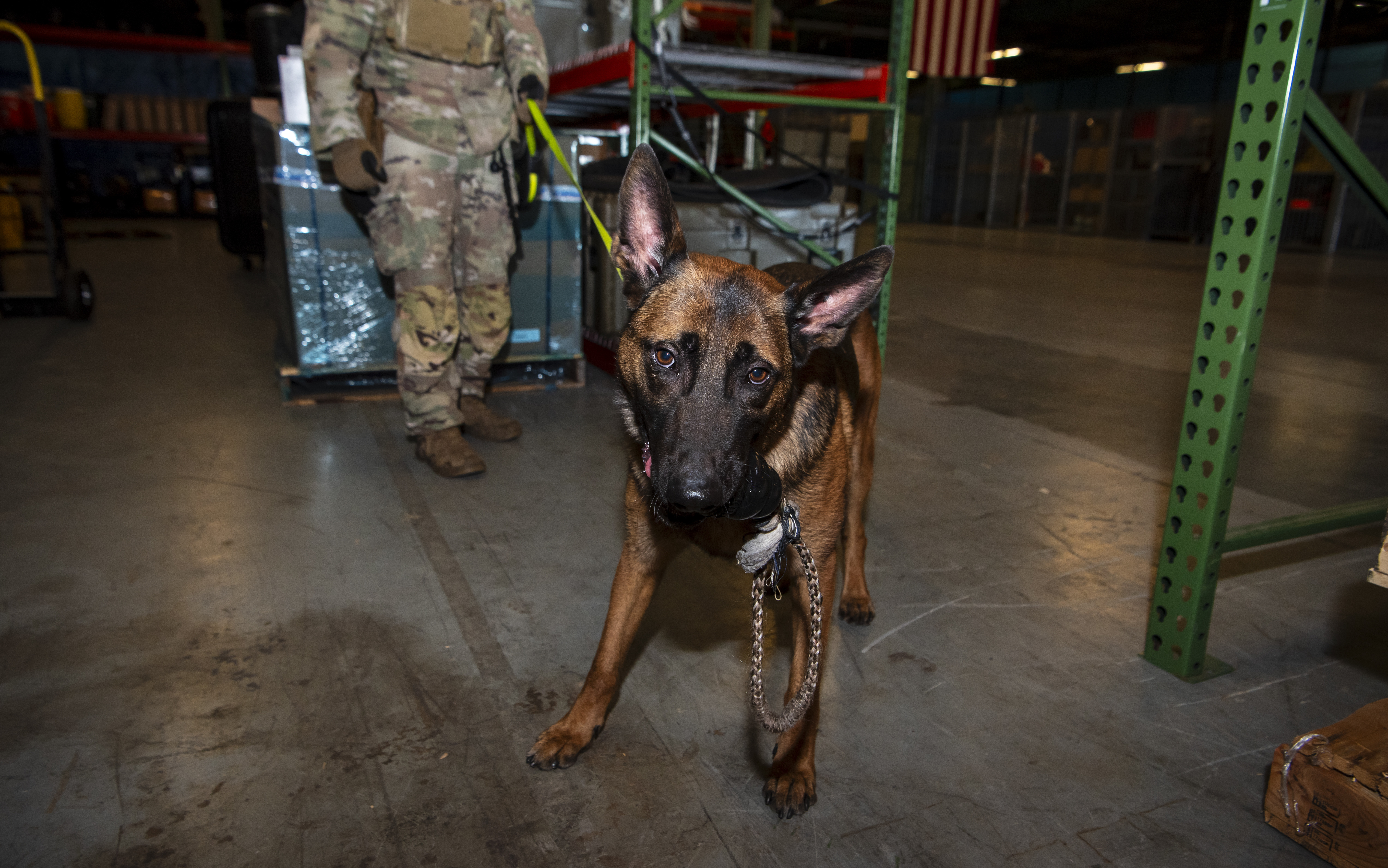 AFMES continually enhances joint MWD training > 505th Command and ...