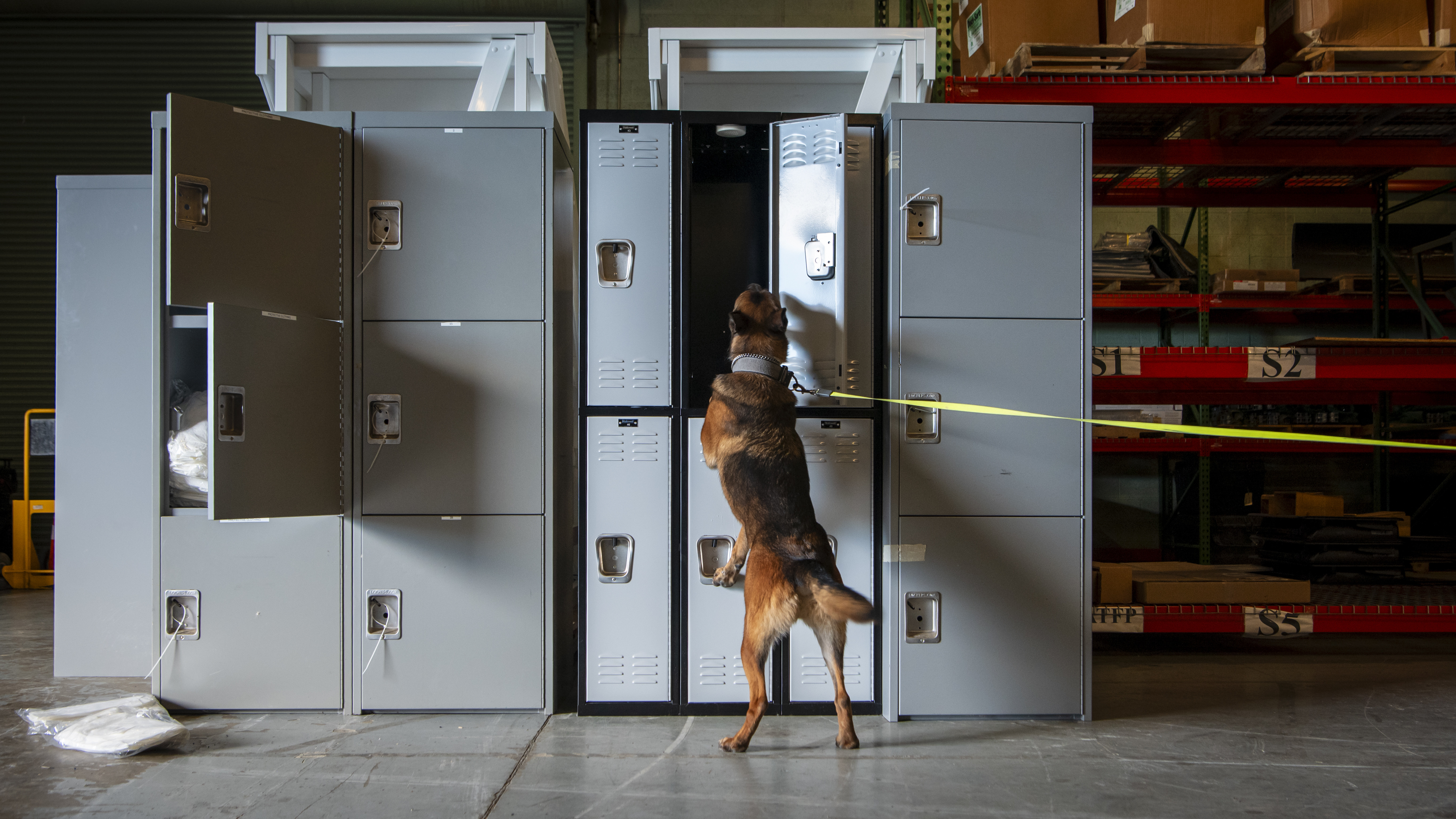 AFMES continually enhances joint MWD training > 505th Command and ...