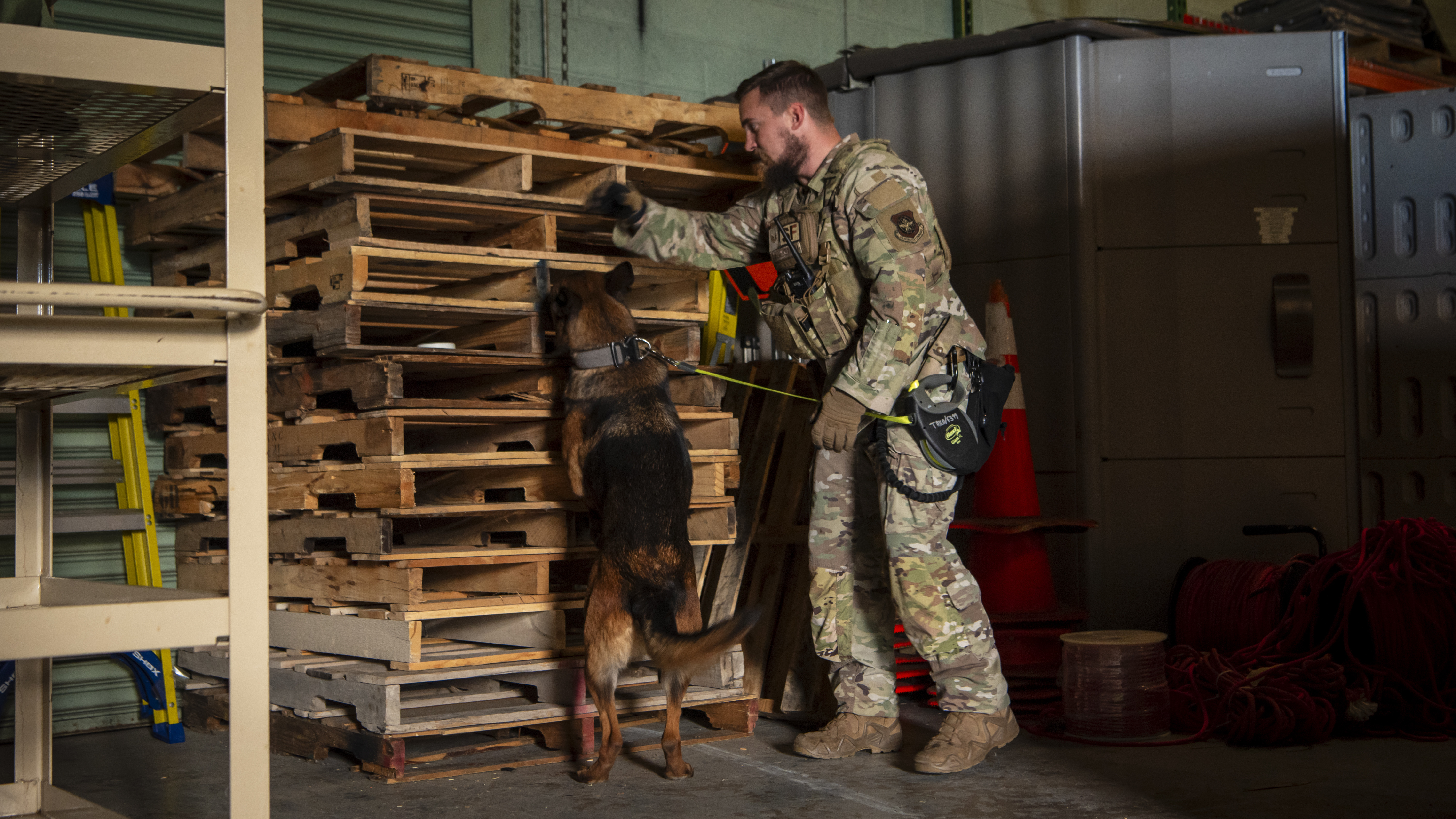 AFMES continually enhances joint MWD training > 505th Command and ...