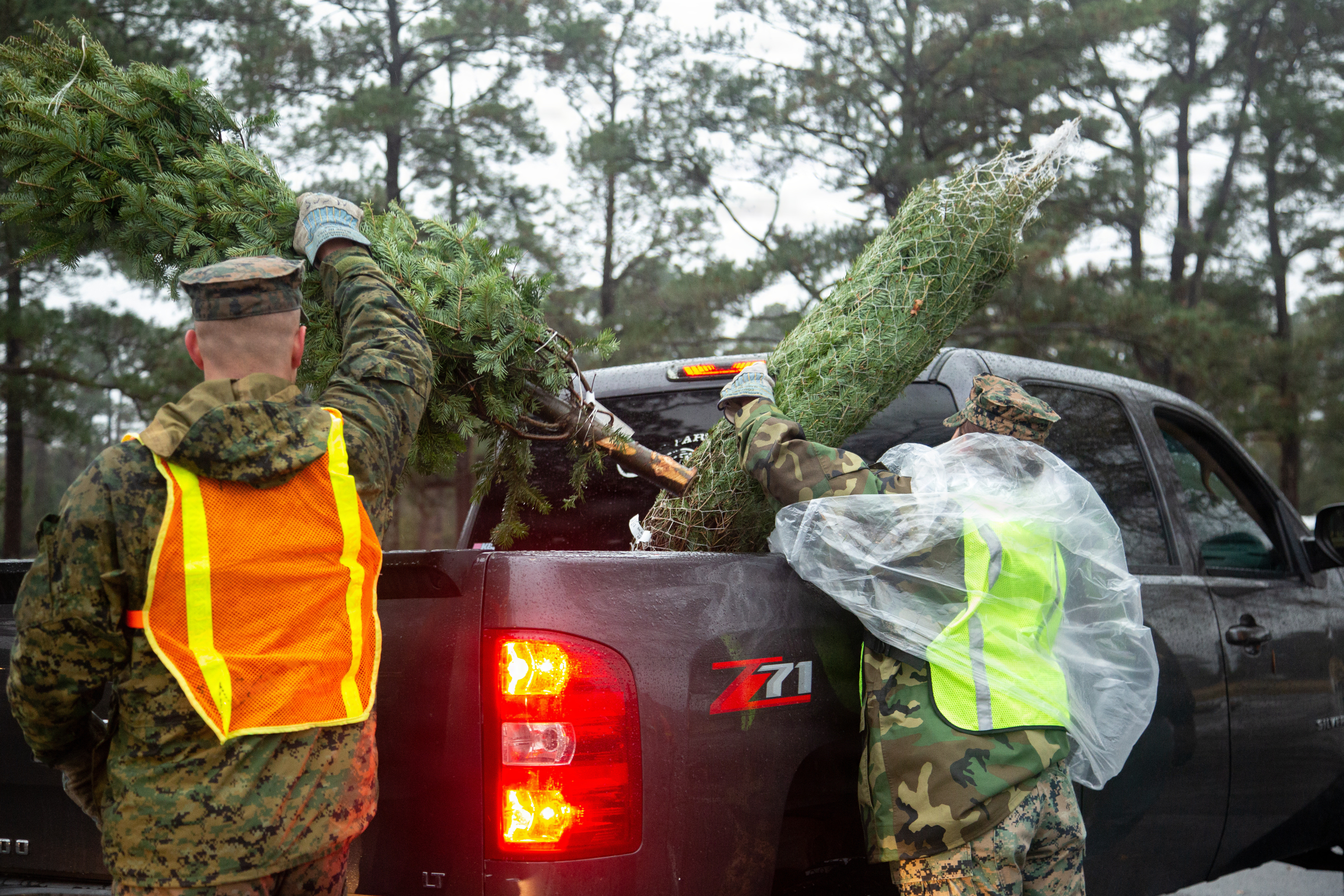 Trees for Troops Provides Free Christmas Trees to Military Families ...
