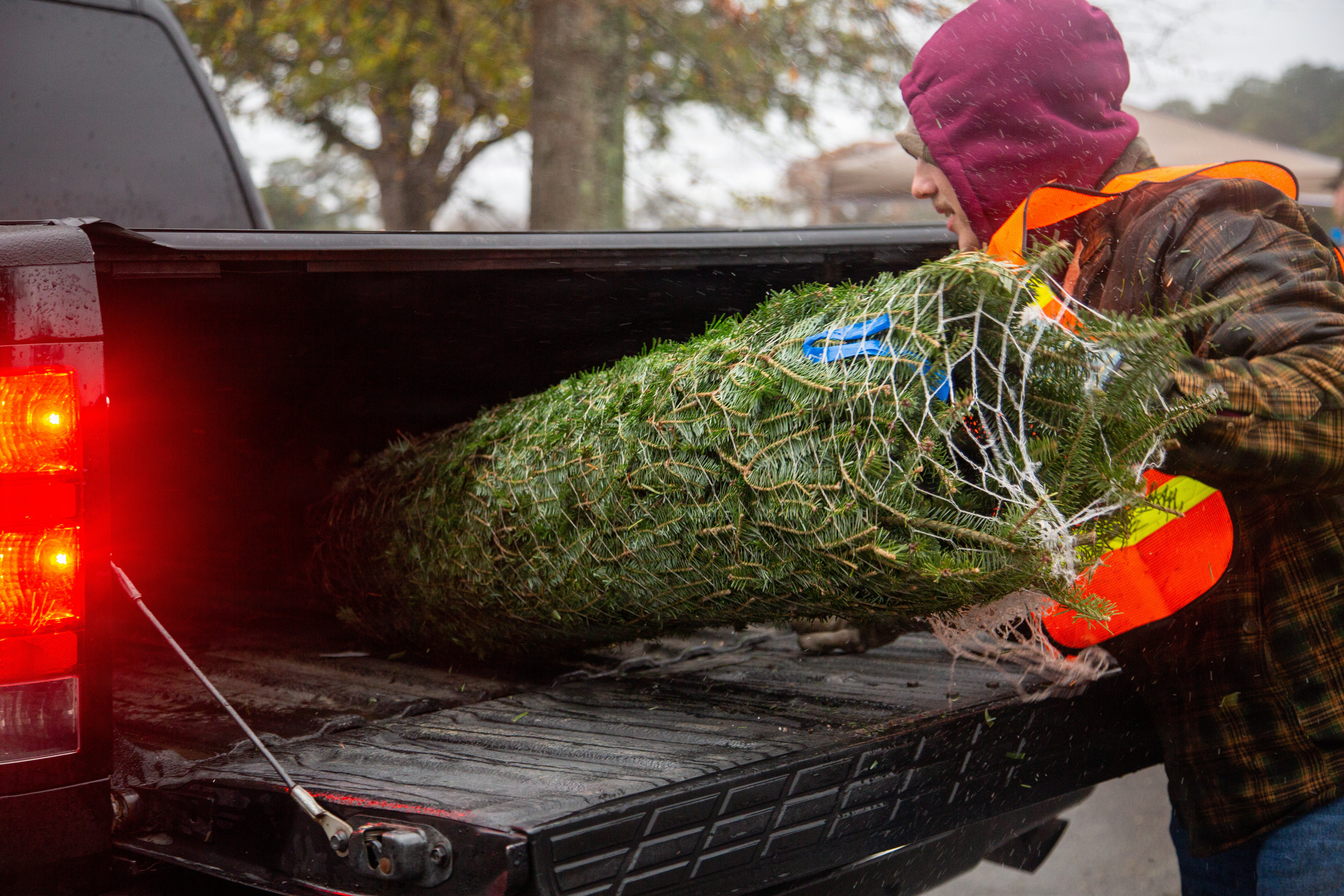 Trees for Troops Provides Free Christmas Trees to Military Families ...