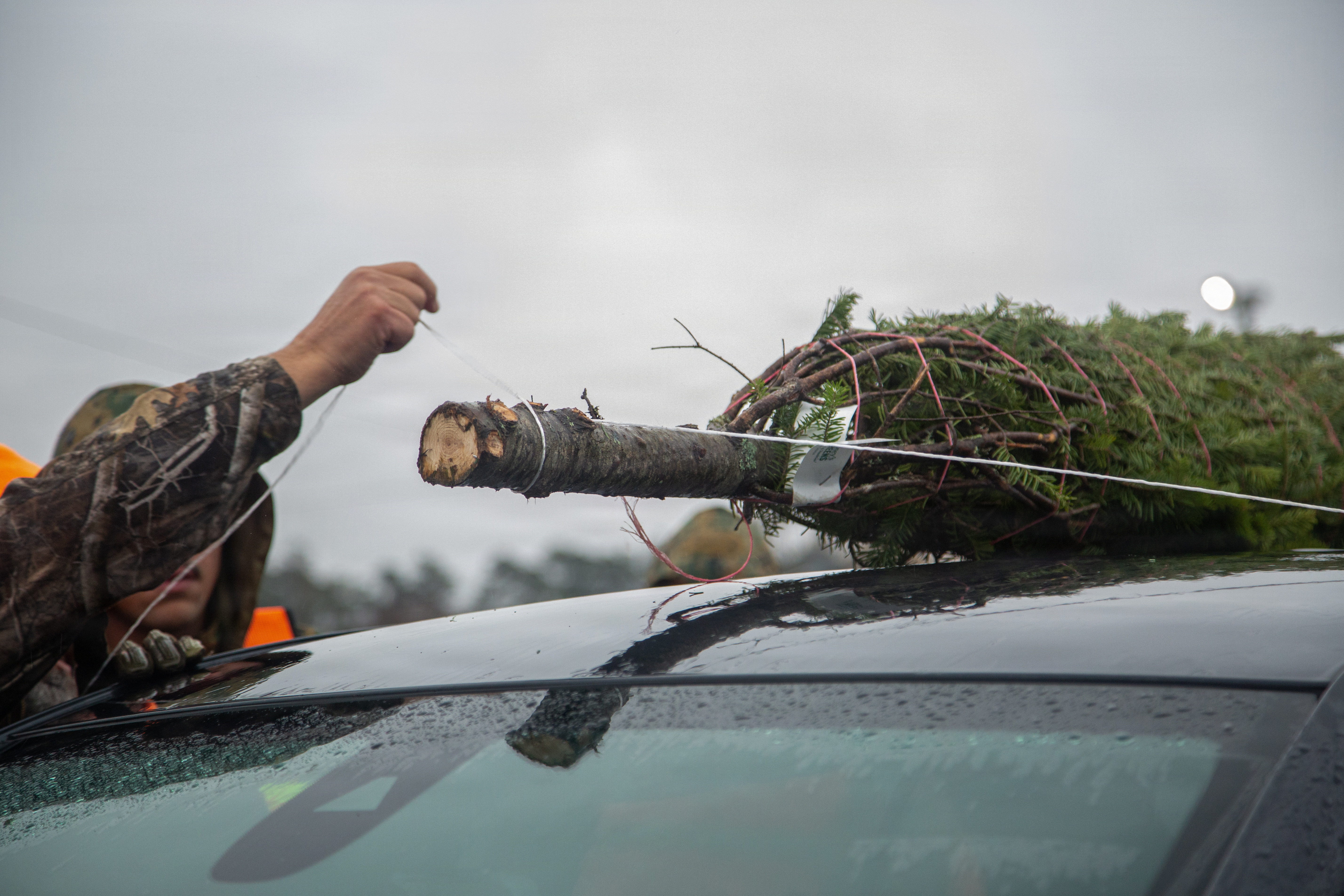 Trees for Troops Provides Free Christmas Trees to Military Families > Marine Corps Air Station ...