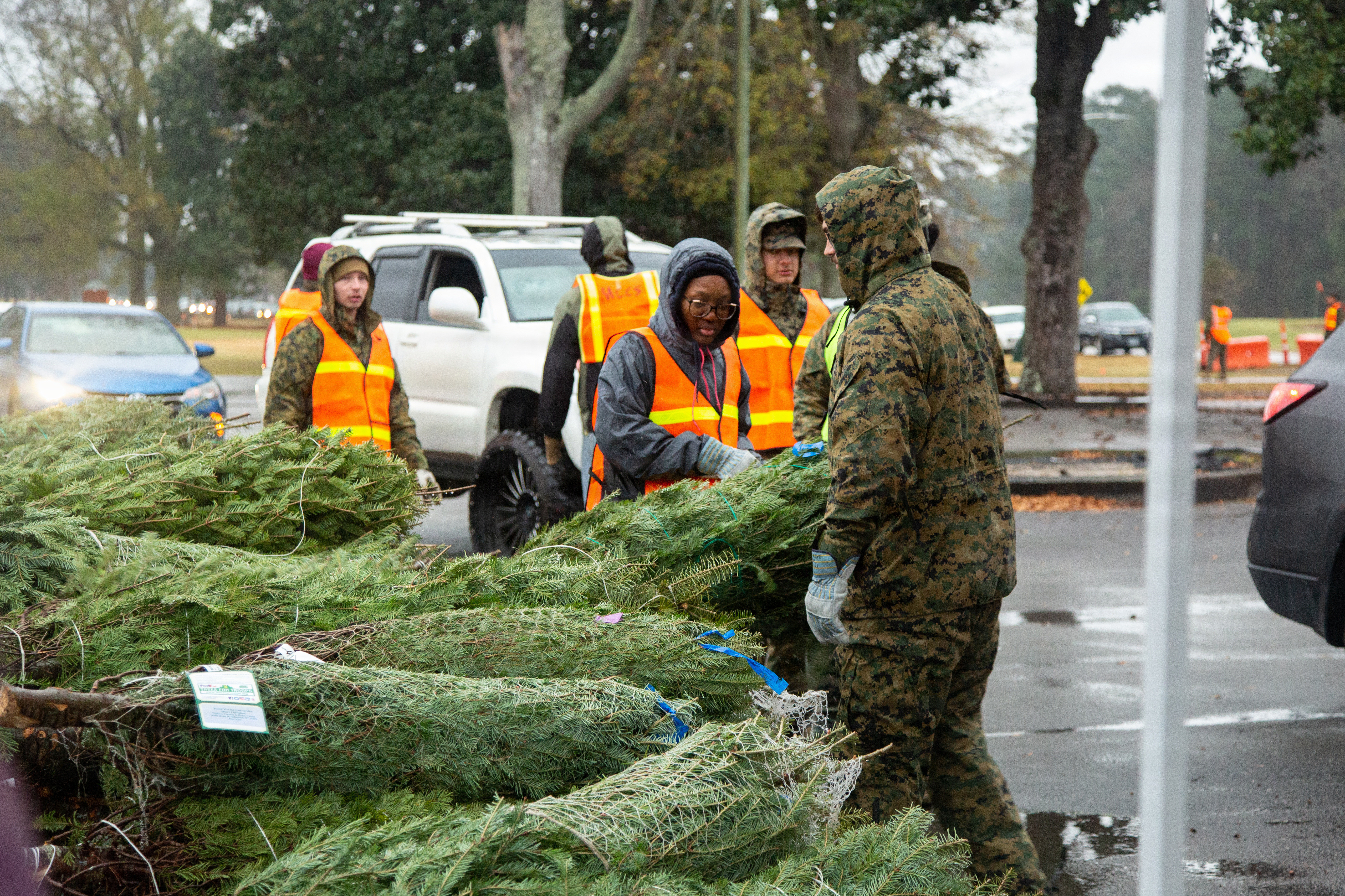 Trees for Troops Provides Free Christmas Trees to Military Families ...
