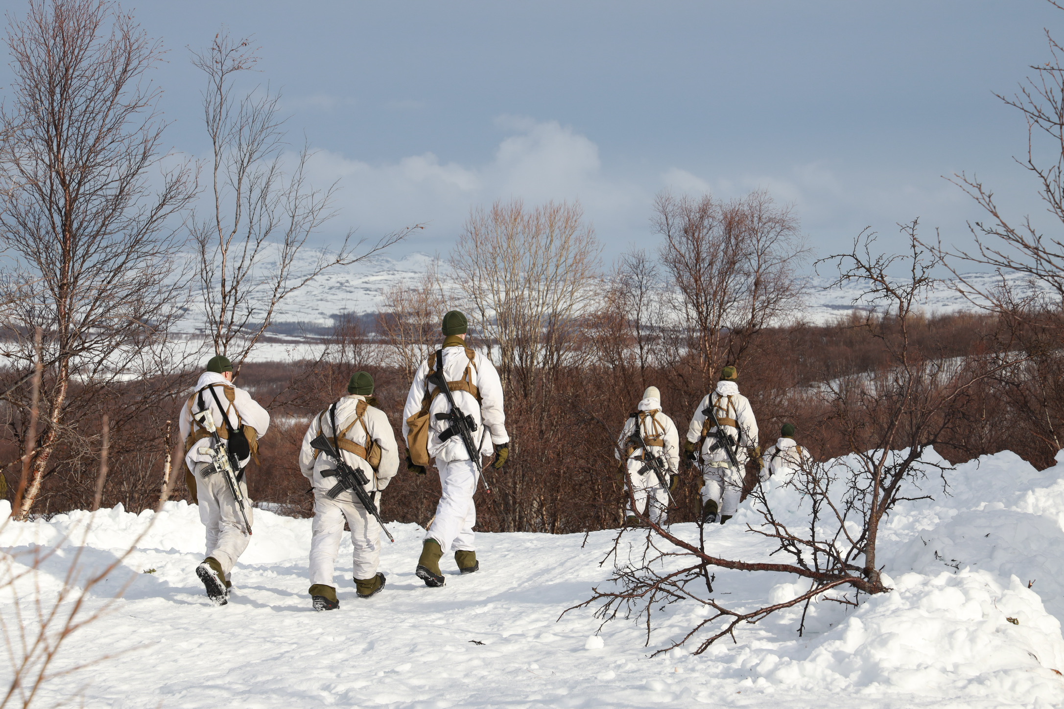 Army Experts Team With European Partners on Arctic Nutrition Research ...