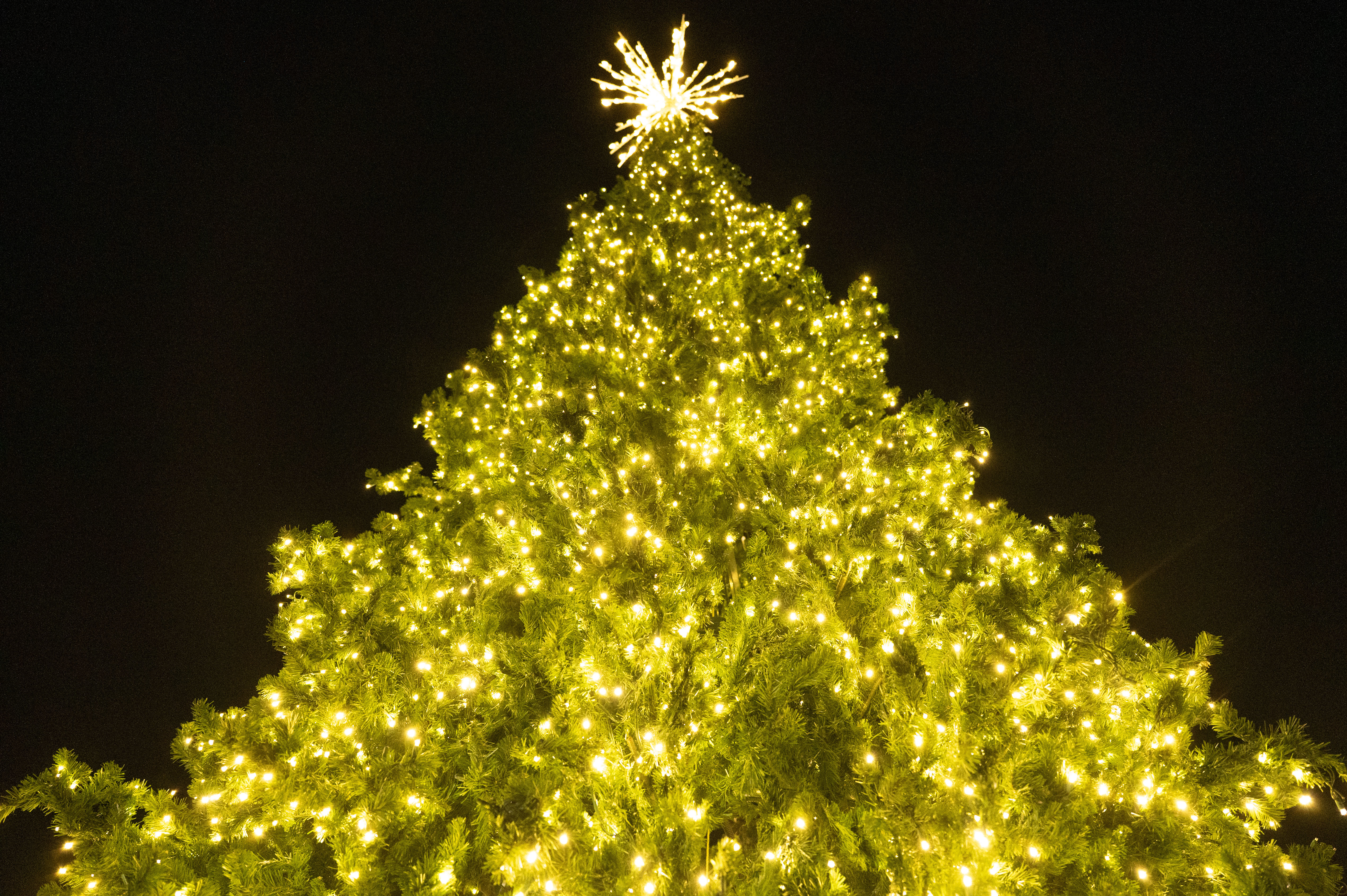 DM's 2025 Christmas Tree Lighting > Davis-Monthan Air Force Base > News