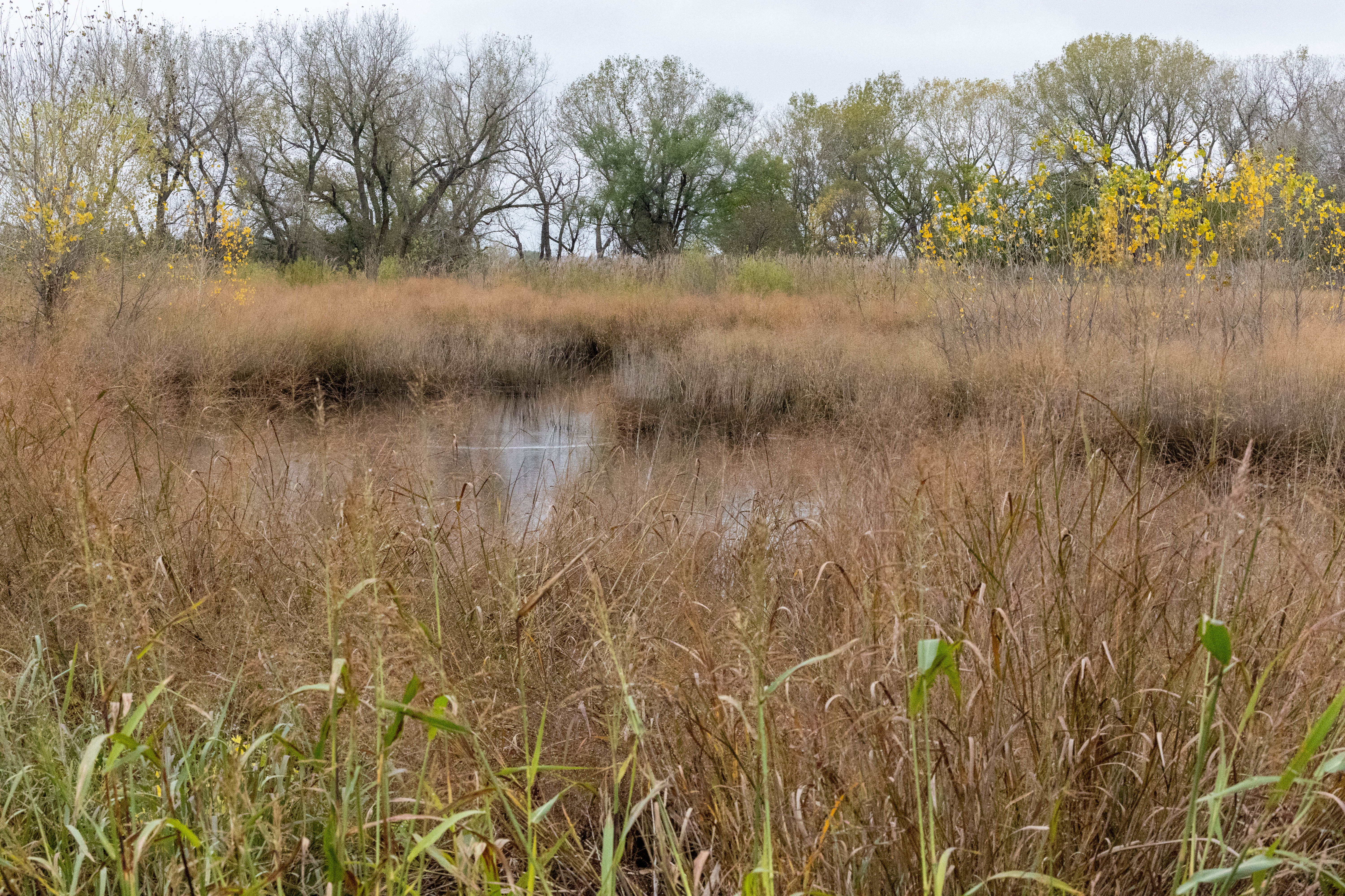 Kanopolis Lake: Go for the water, stay for the land > Kansas City ...