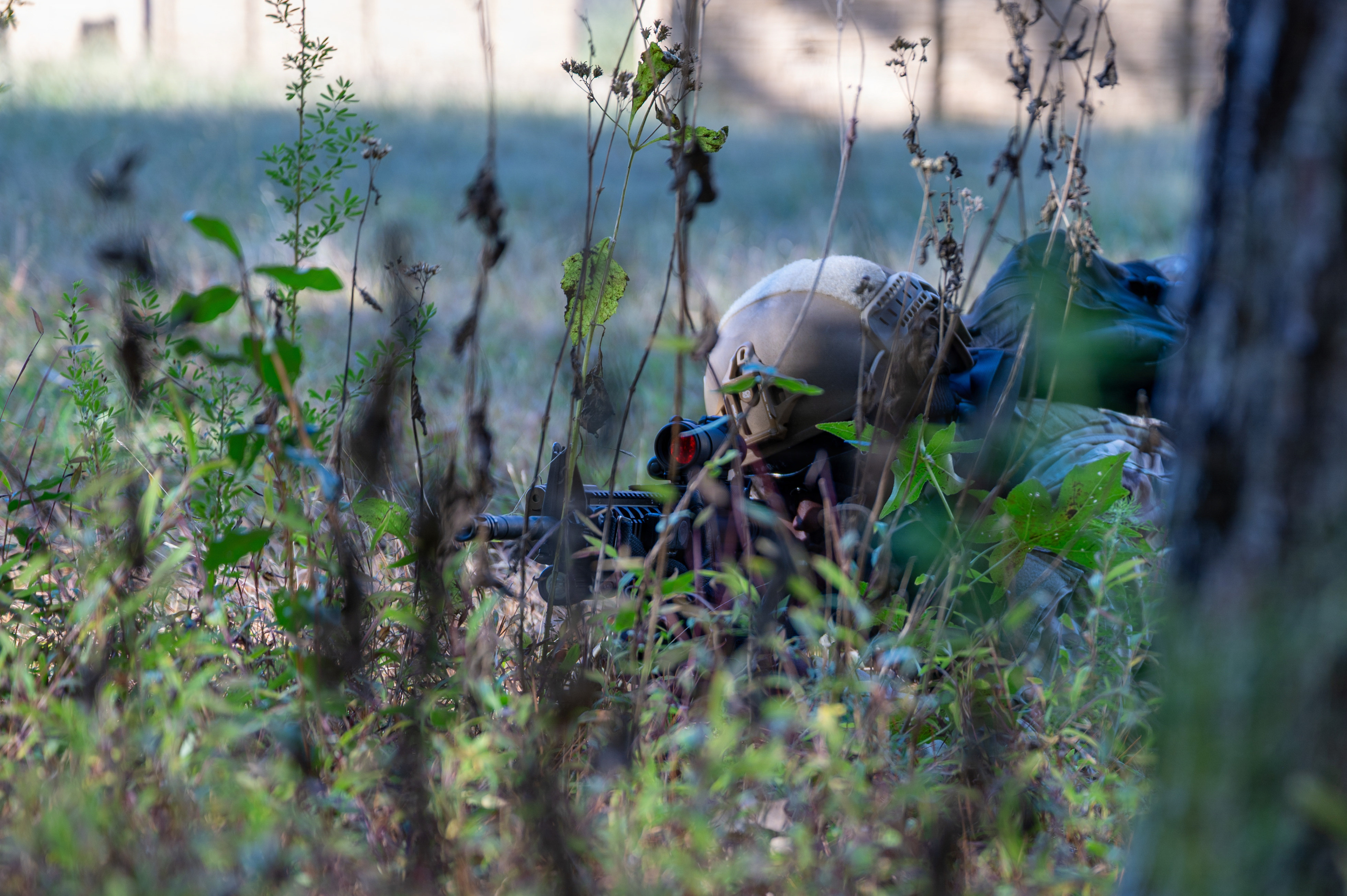 633d Security Forces Enhance Readiness Through Field Training > Joint ...