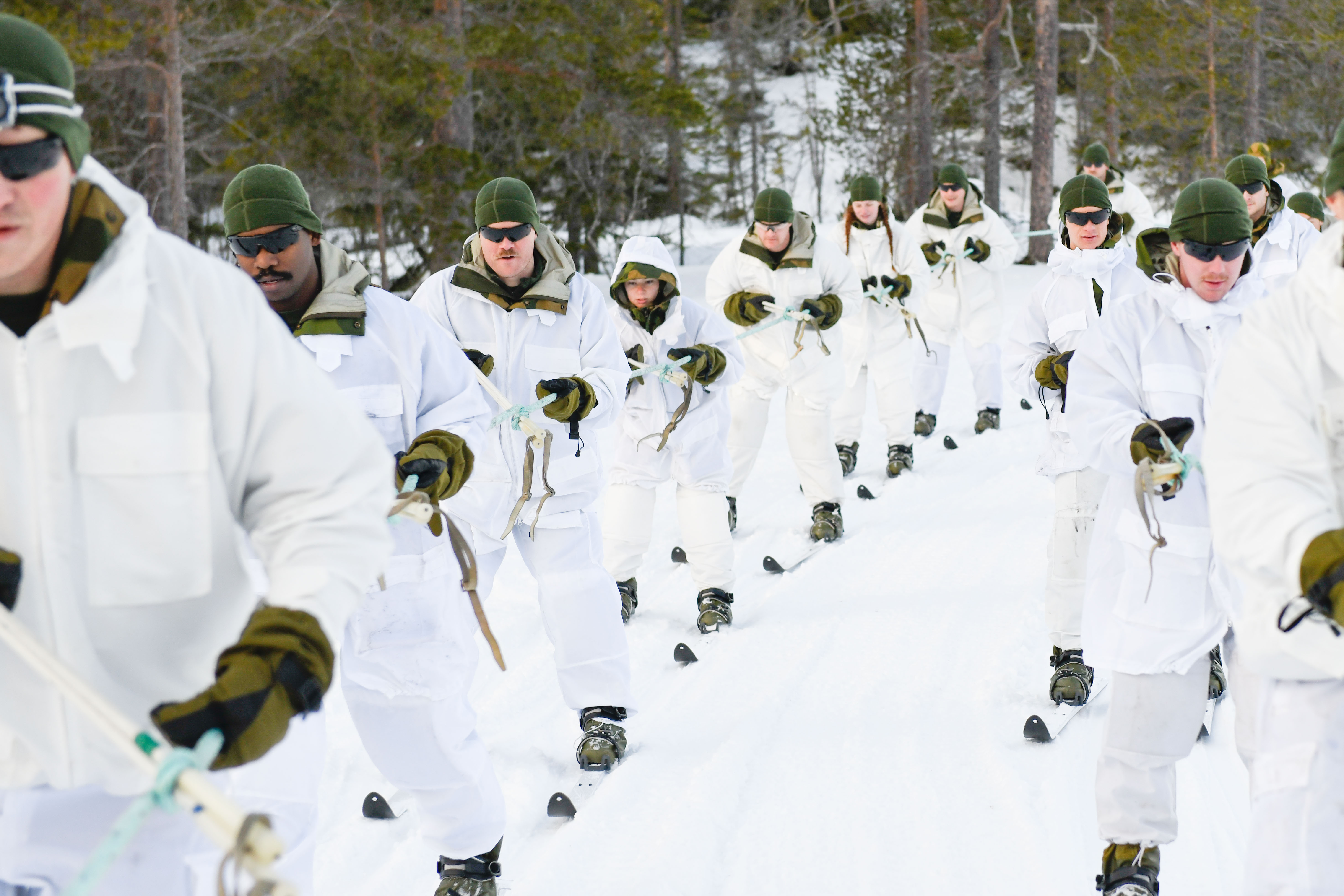 Minnesota National Guard, Norway Strengthen Training Ties > National ...