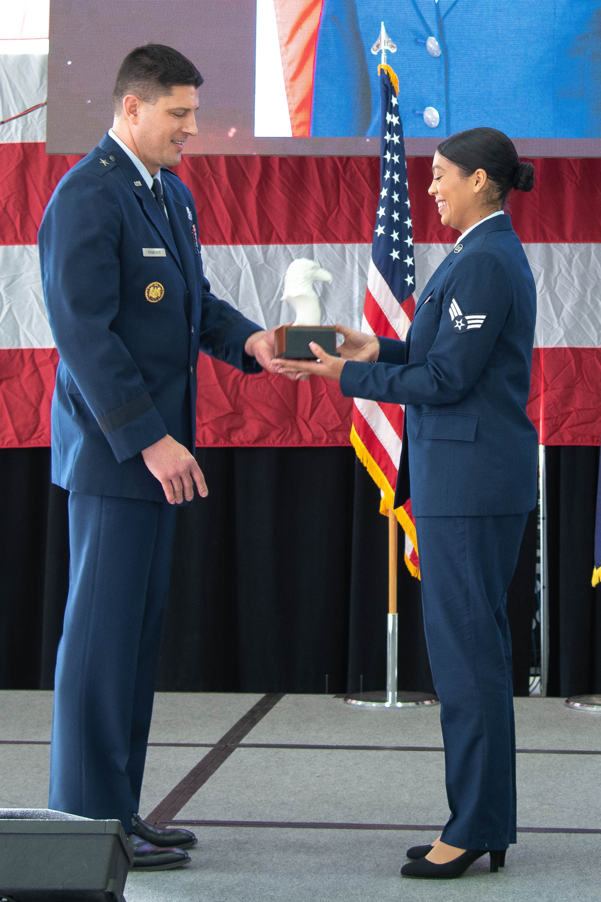 Wing awards outstanding Airmen, employees > 127th Wing > Articles