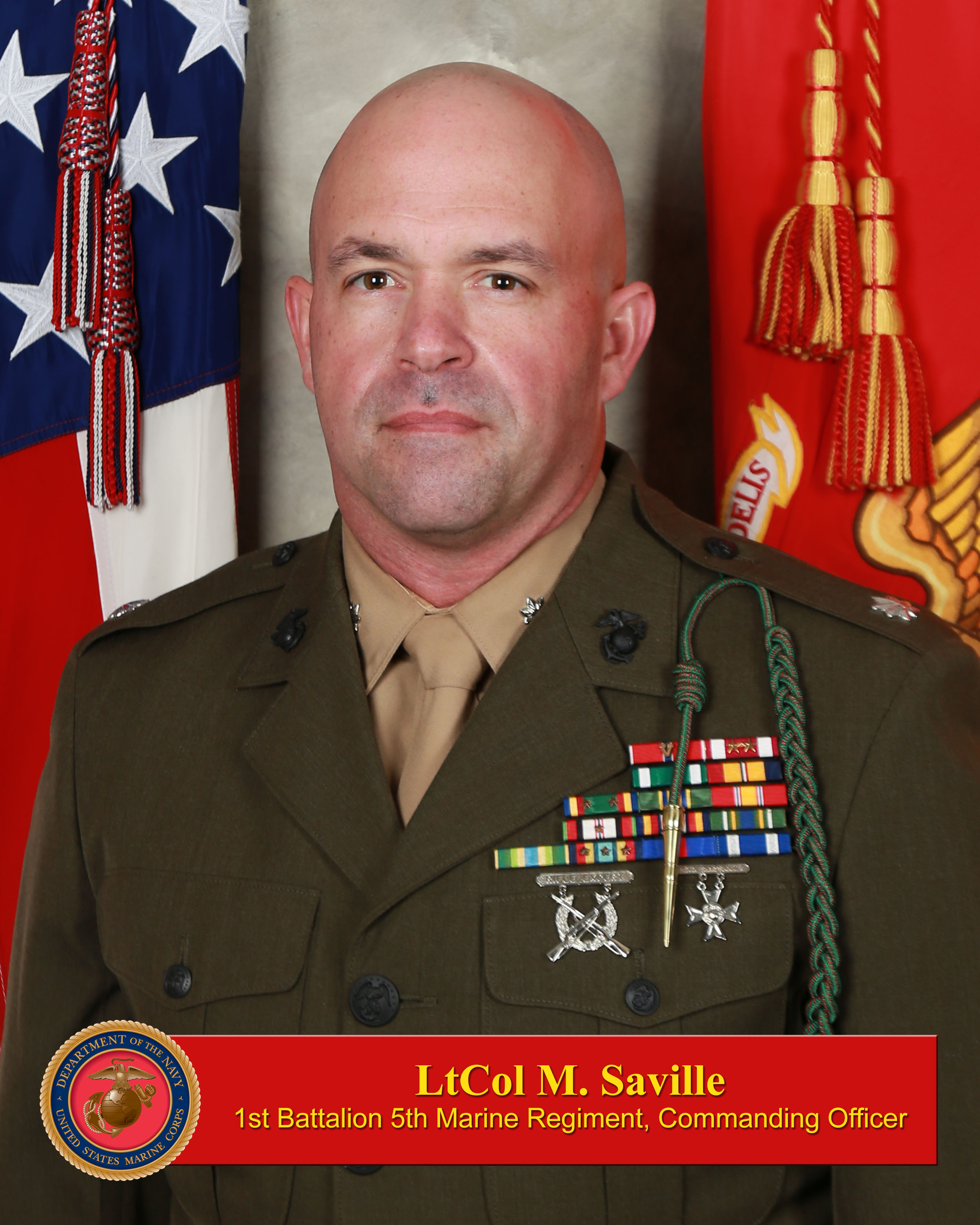 LtCol Mark Saville > 1st Marine Division > Biography