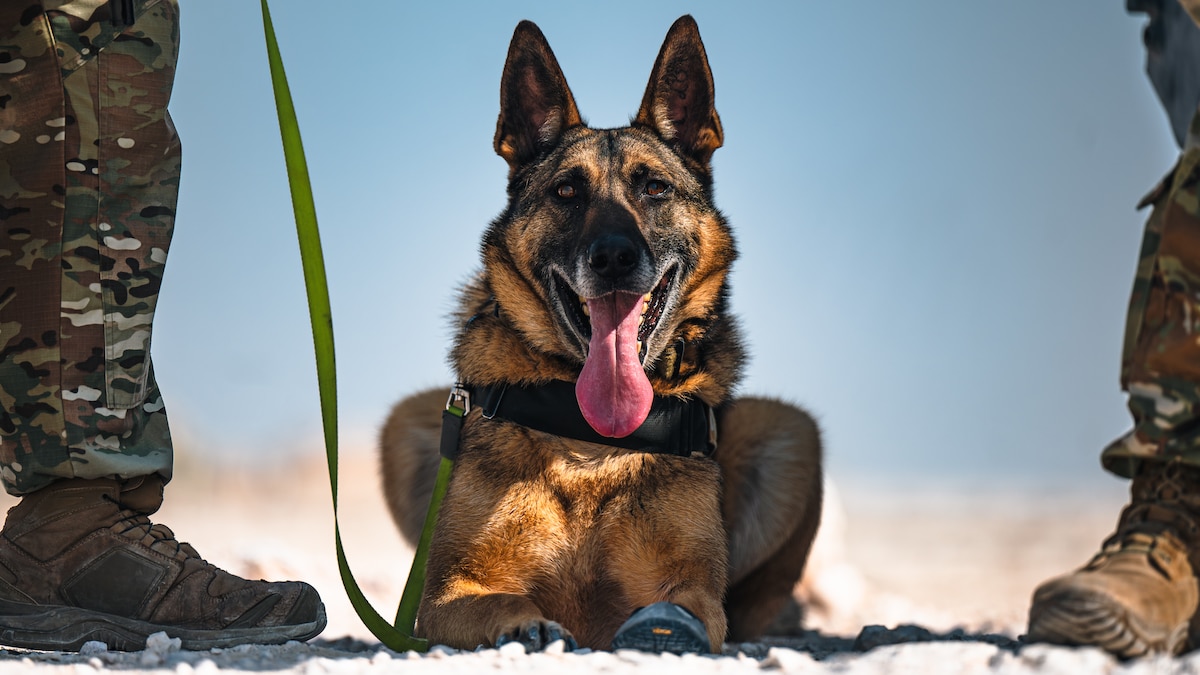 Deployed Mission Ready Airmen: Tac-Lead Course emphasizes Agile Combat ...