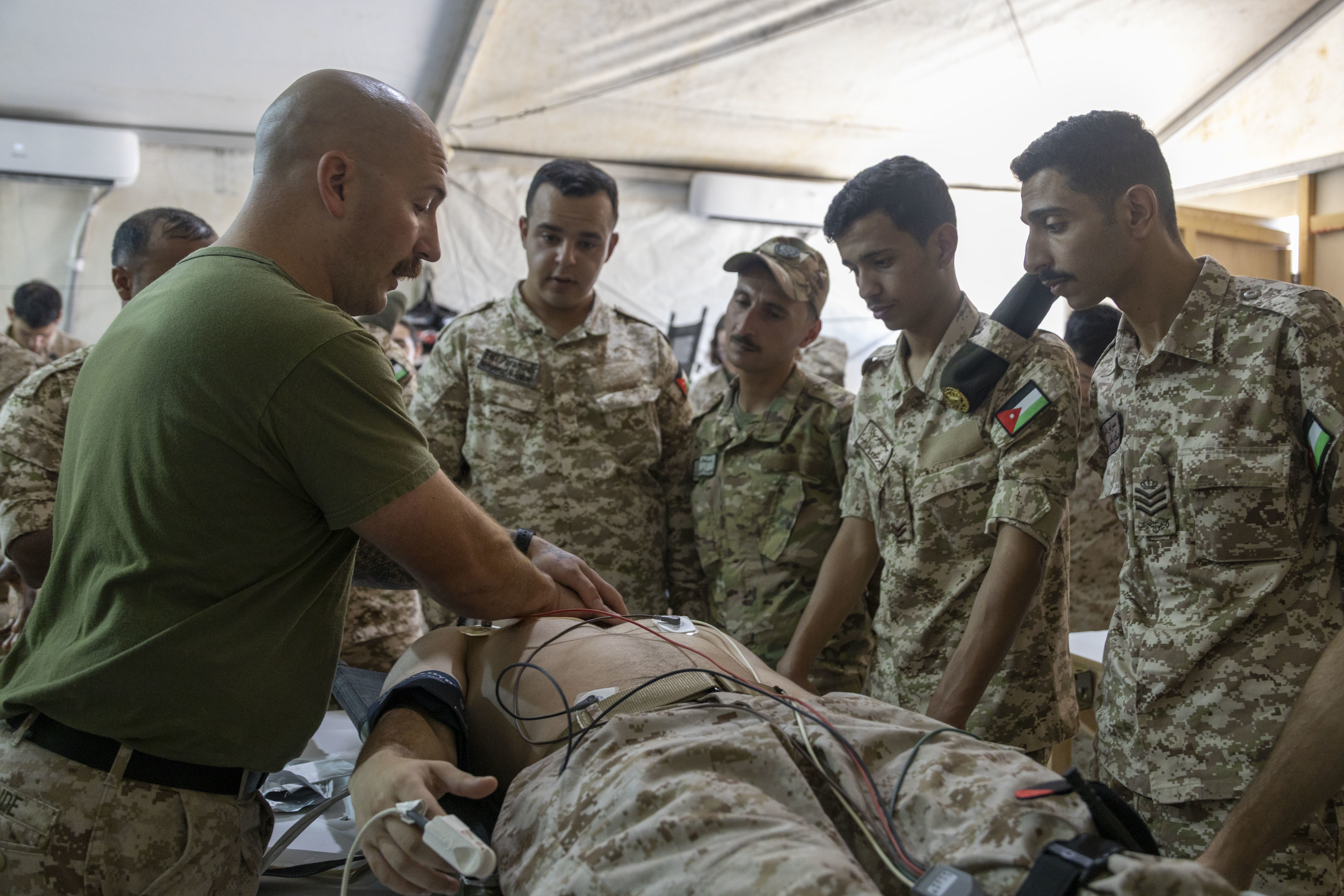 Forging Strength Through Partnership: U.S. and Jordan Launch Native ...