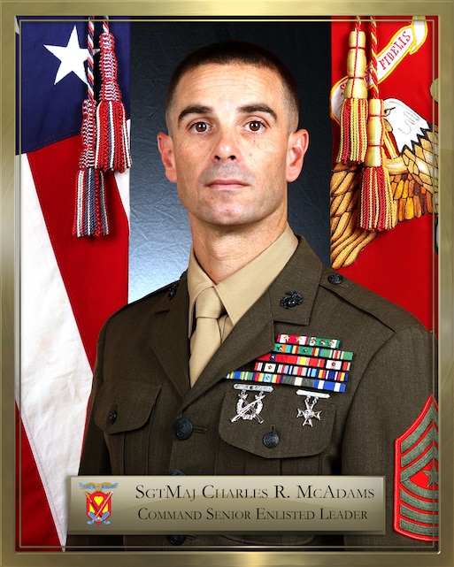 Sergeant Major Charles R. Mcadams > 3rd Marine Division > Biography