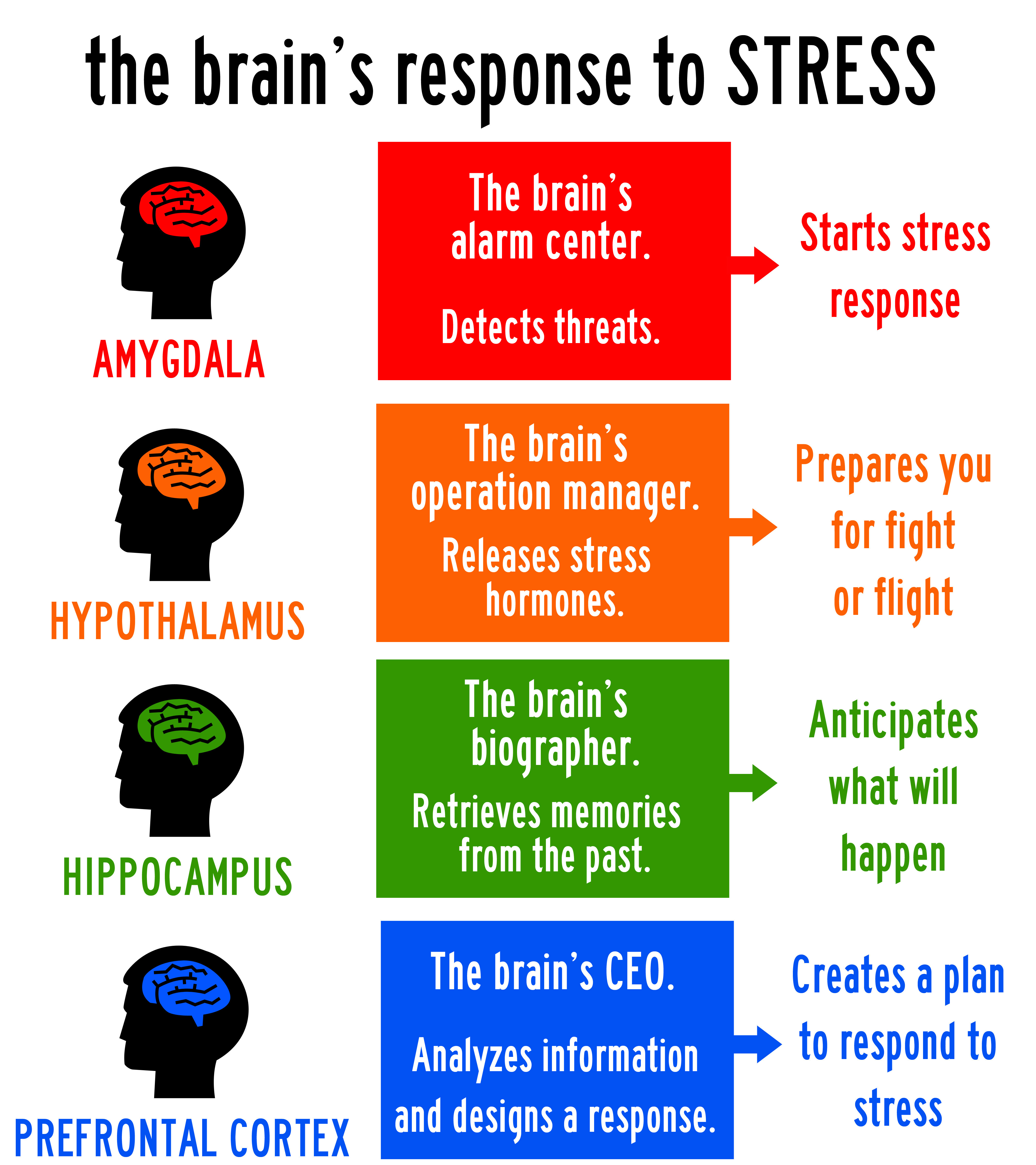 Keeping Stress in Check > 51st Medical Group - Osan Air Base > Article ...