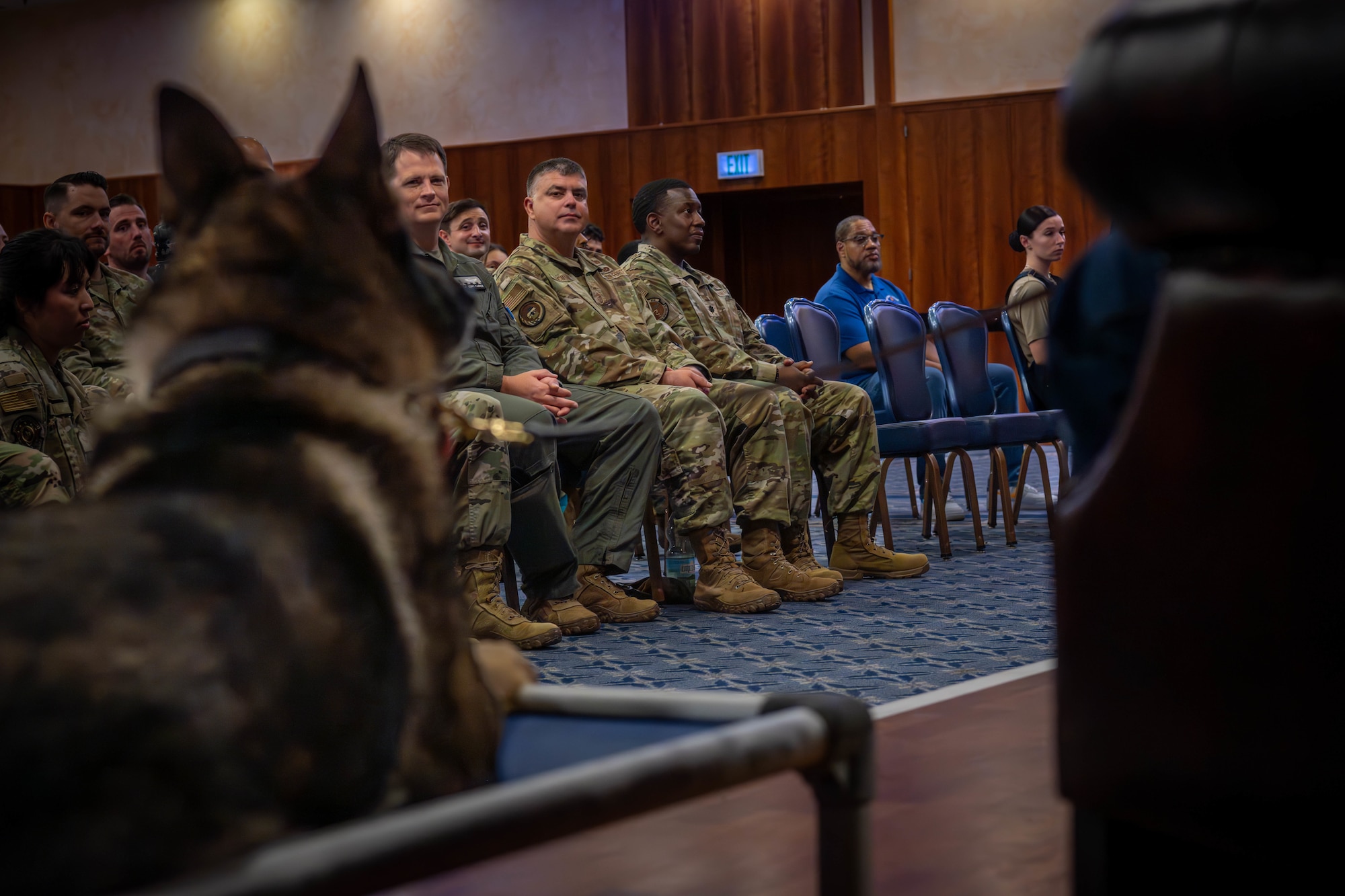 Axel’s Final Salute: Air Force K-9 Retires After 60,000 Hours of ...