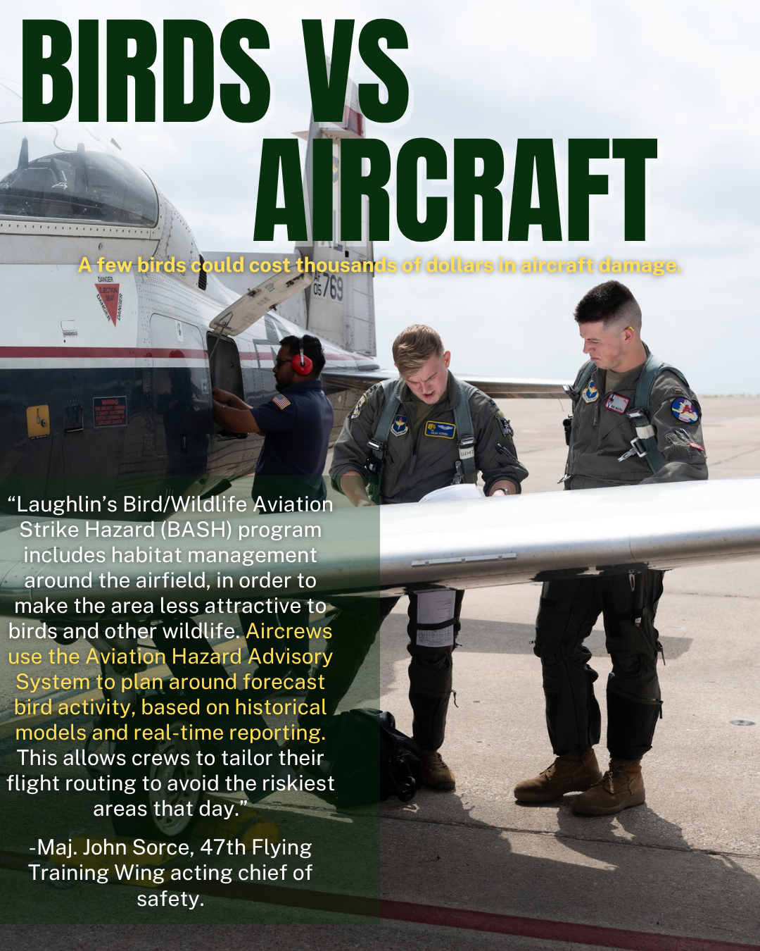 Birdwatchers return to Laughlin > Laughlin Air Force Base > Display