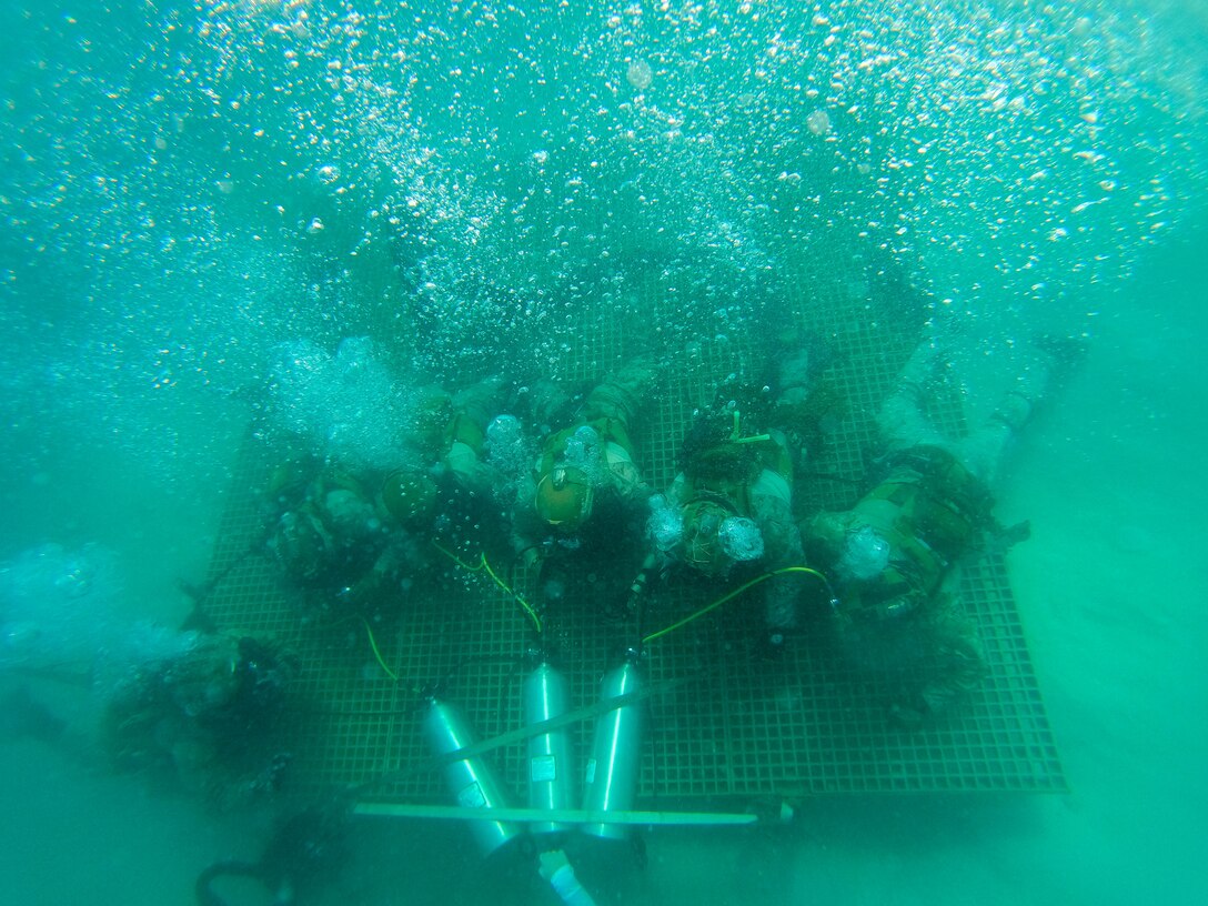 Exercise Caribbean Coastal Warrior 25: Infiltration and Exfiltration ...