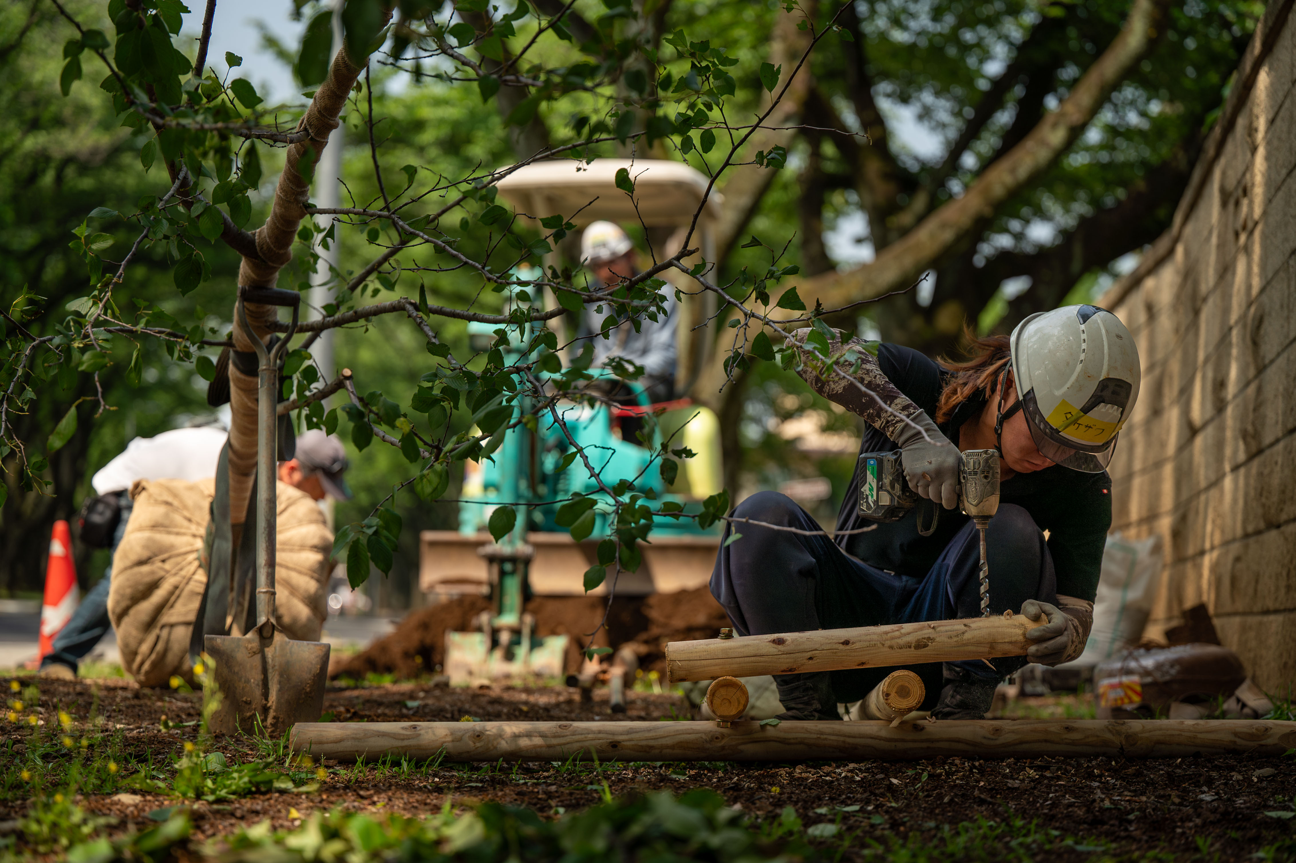 Sakura trees undergo refresh through 374 CES > Yokota Air Base ...