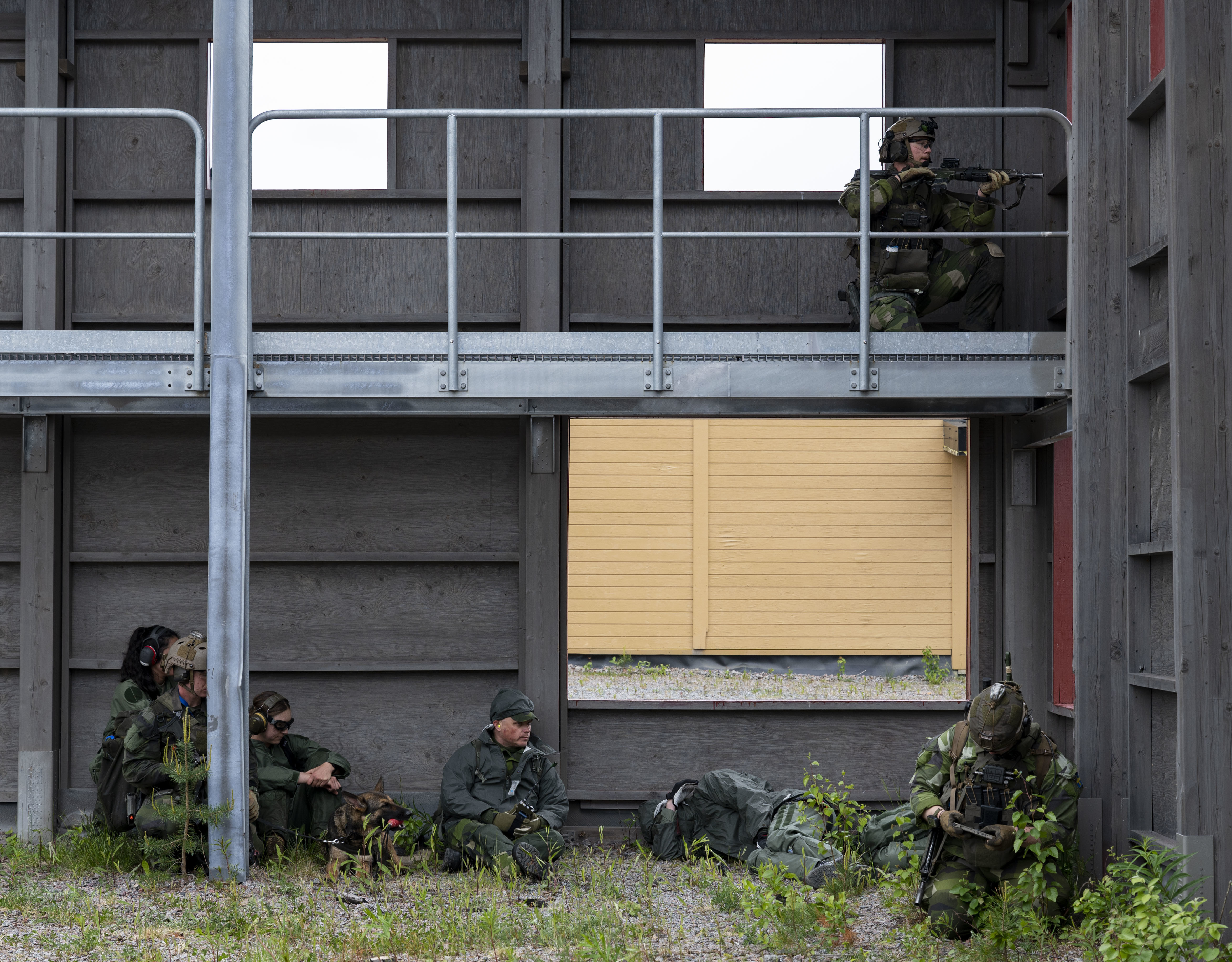 U.S. and Sweden partner for CSAR training > Aviano Air Base > Display