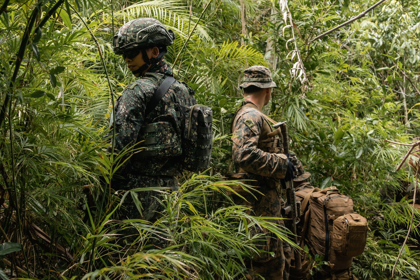 U.S., Philippine Marines begin ACD 25.3 jungle training > U.S. Indo ...