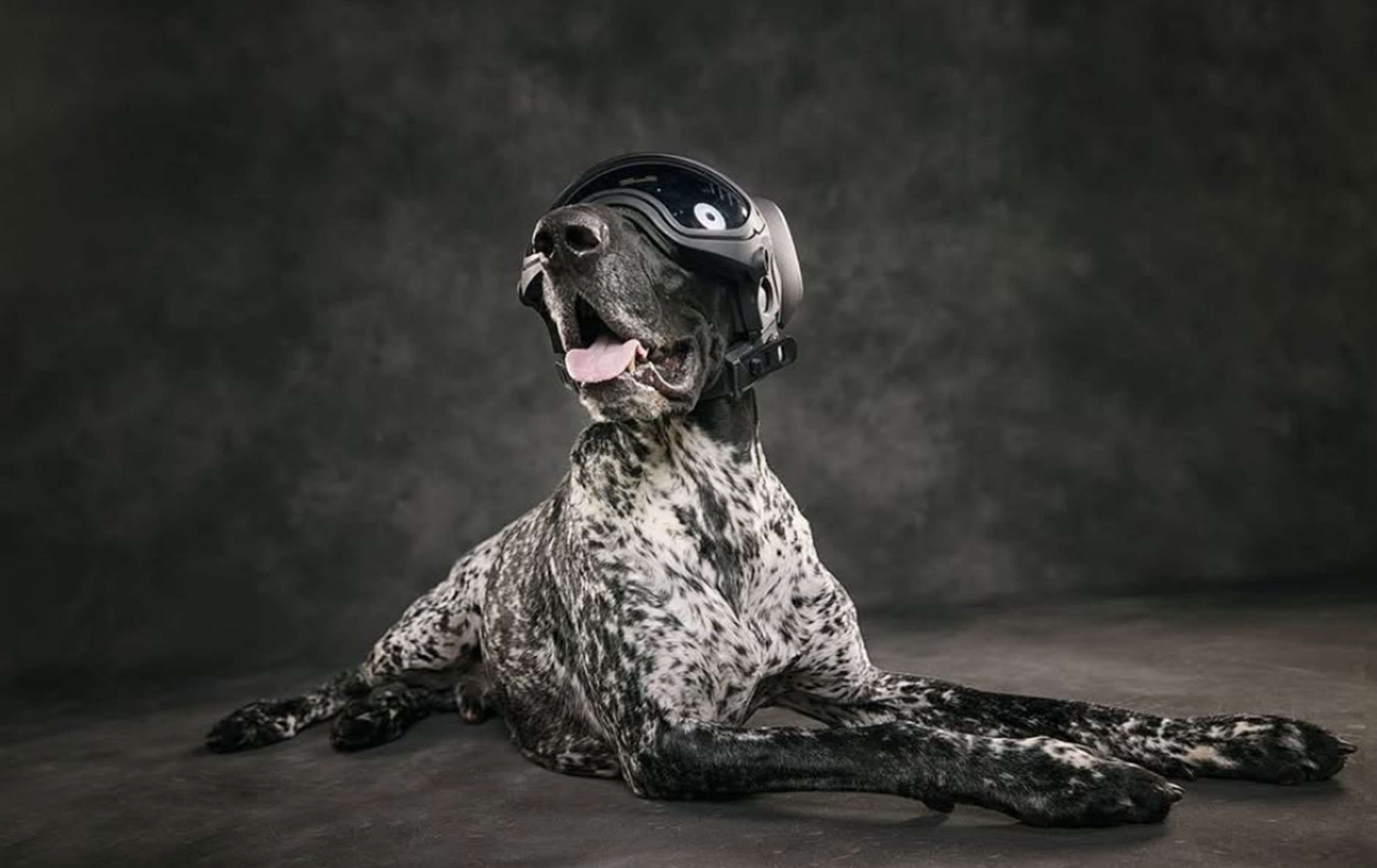 Chief Buda - Nose to the ground, eyes on the mission > United States ...