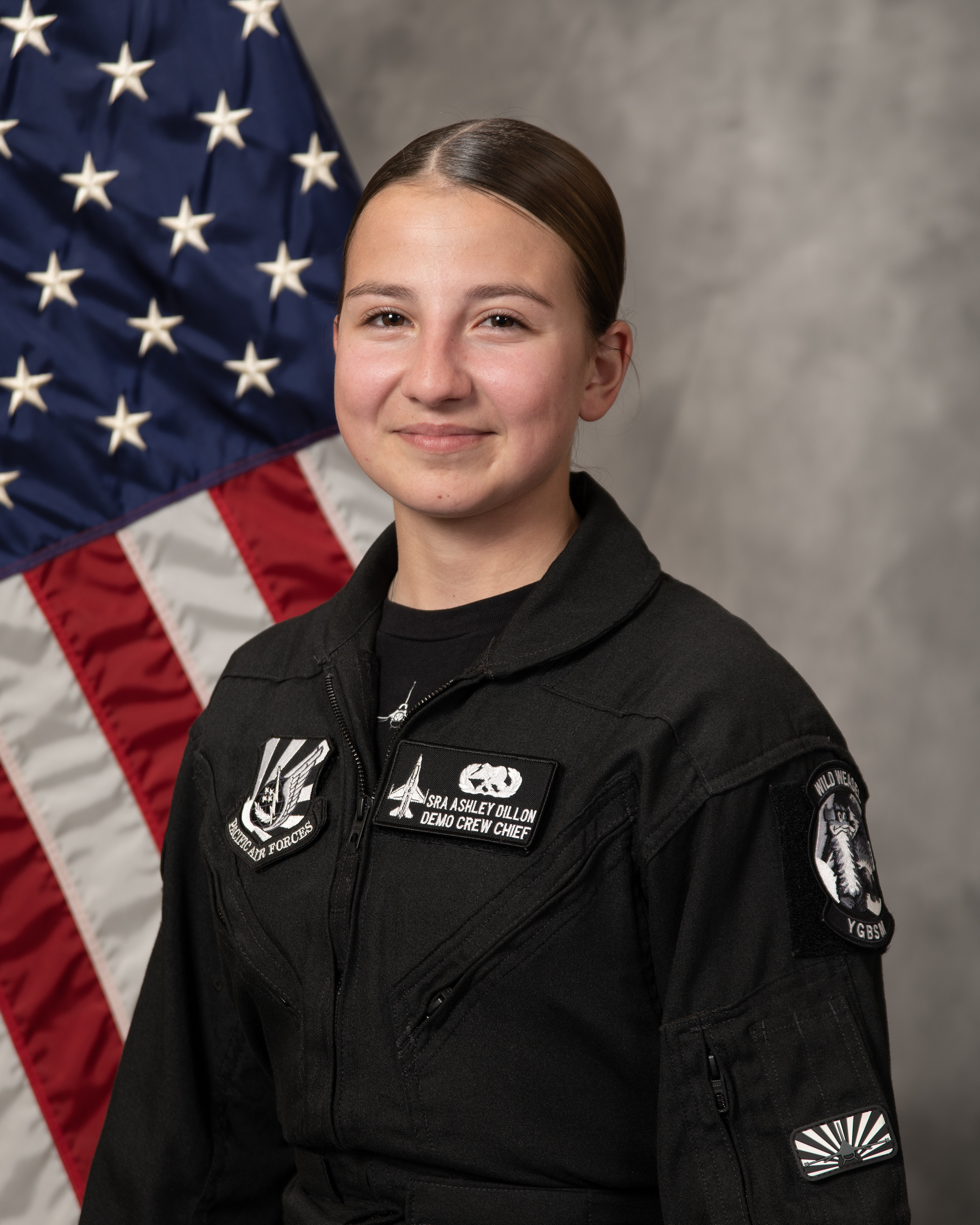 Ashley "ZAPT" Dillon > Misawa Air Base > Display