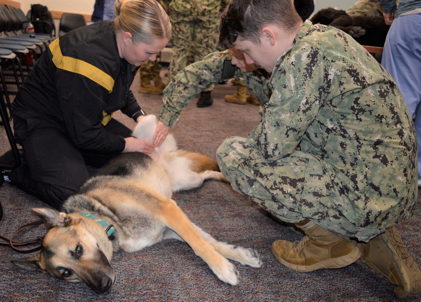 A Corpsman and Canine Connection for Operational Readiness > Navy ...