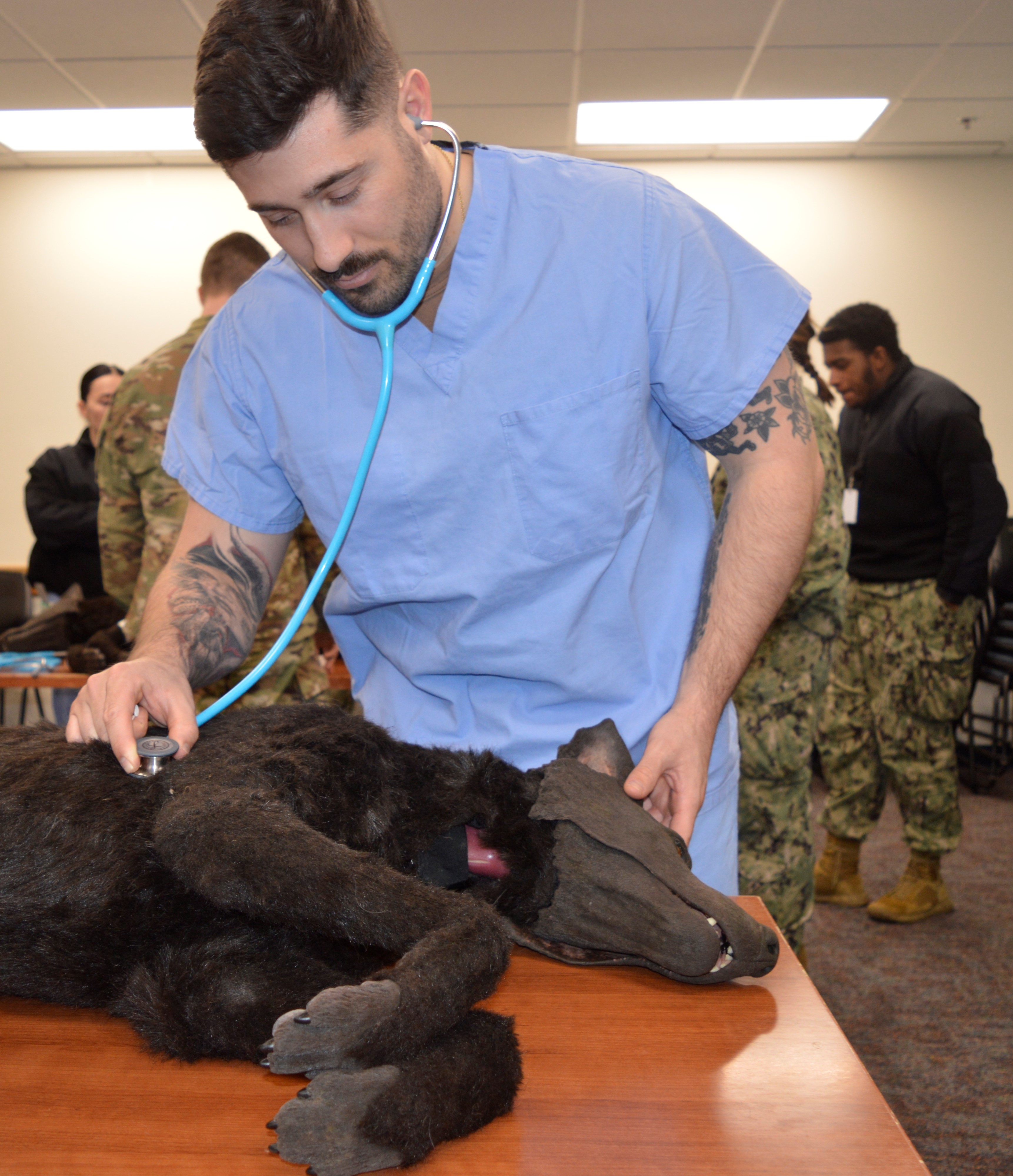 A Corpsman and Canine Connection for Operational Readiness > Navy ...