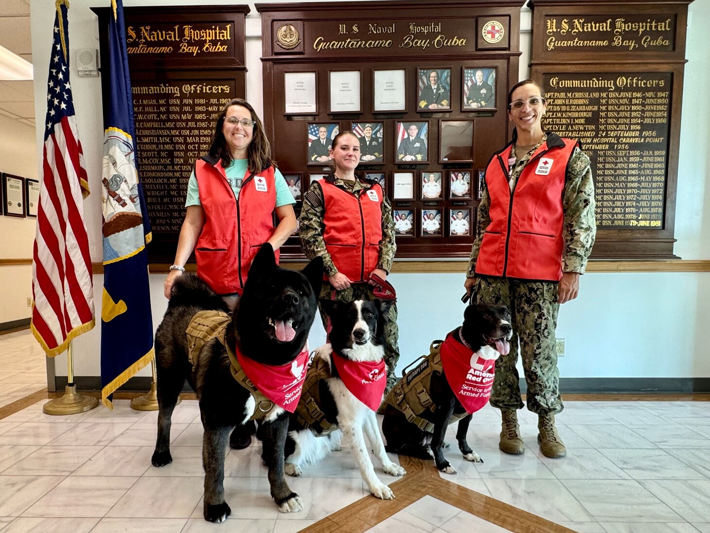 All paws on deck! U.S. Naval Hospital Guantanamo Bay begins American ...