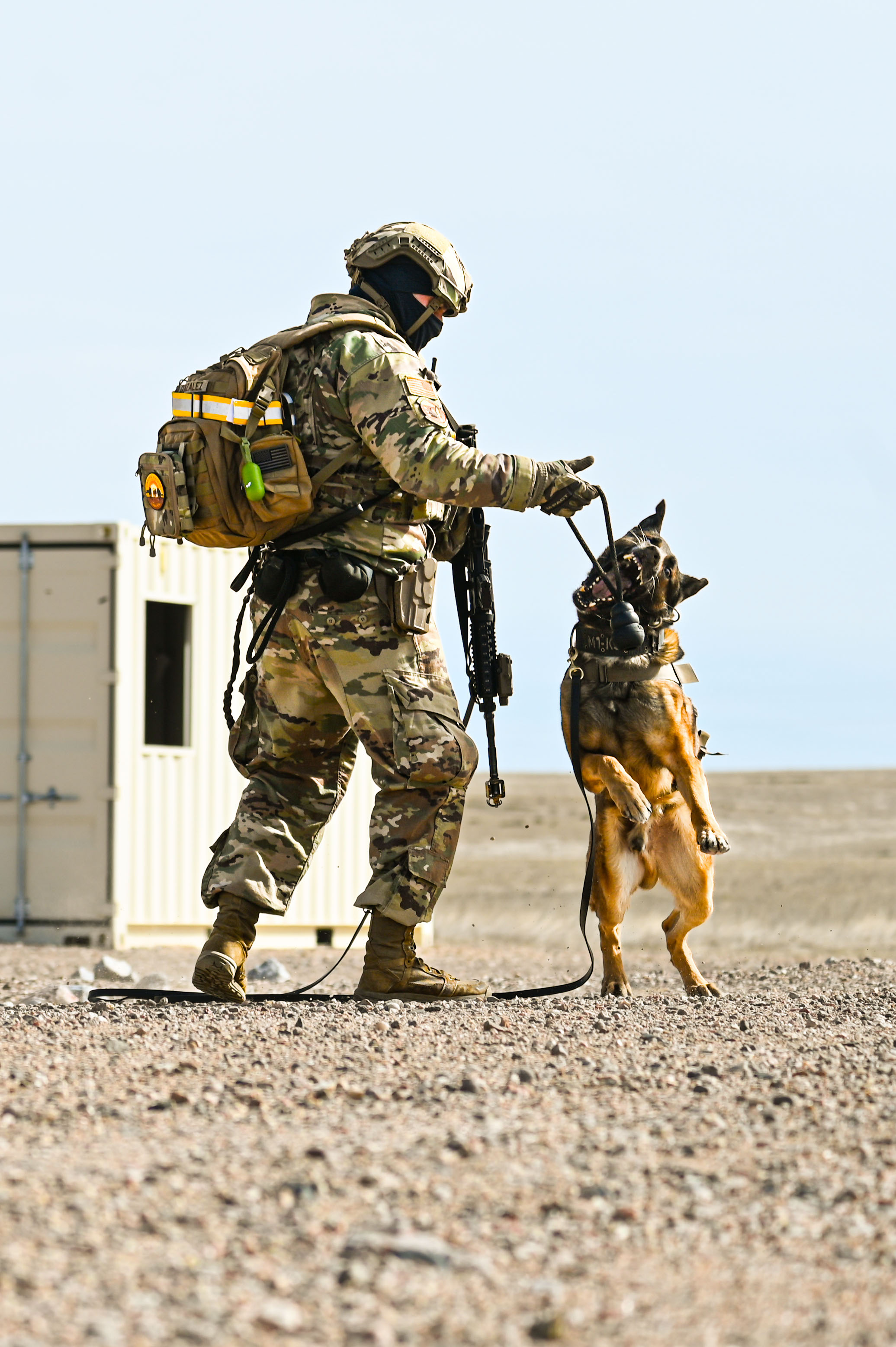 K-9 Veterans Day: Honoring Our Canine Heroes > F.E. Warren Air Force ...