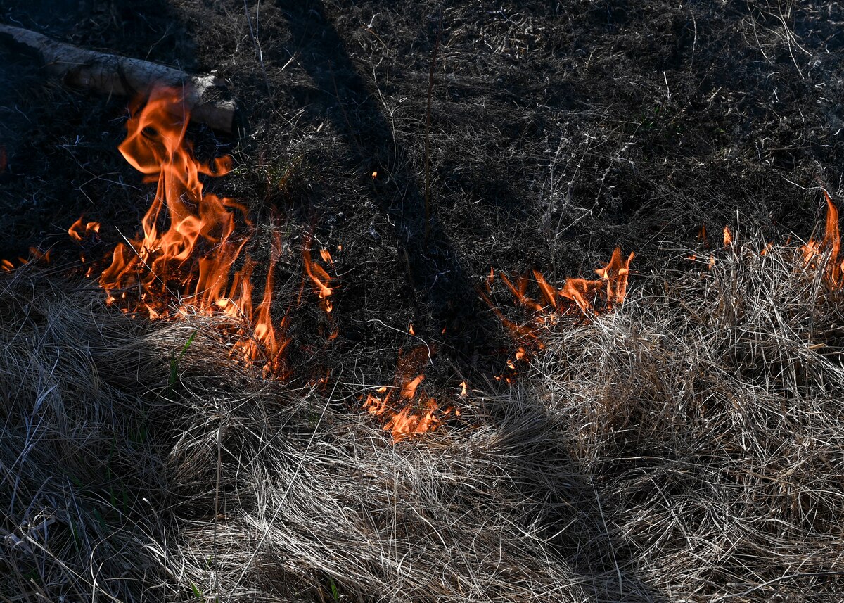 Controlled Burn: Maintaining the Ecosystem > McConnell Air Force Base ...