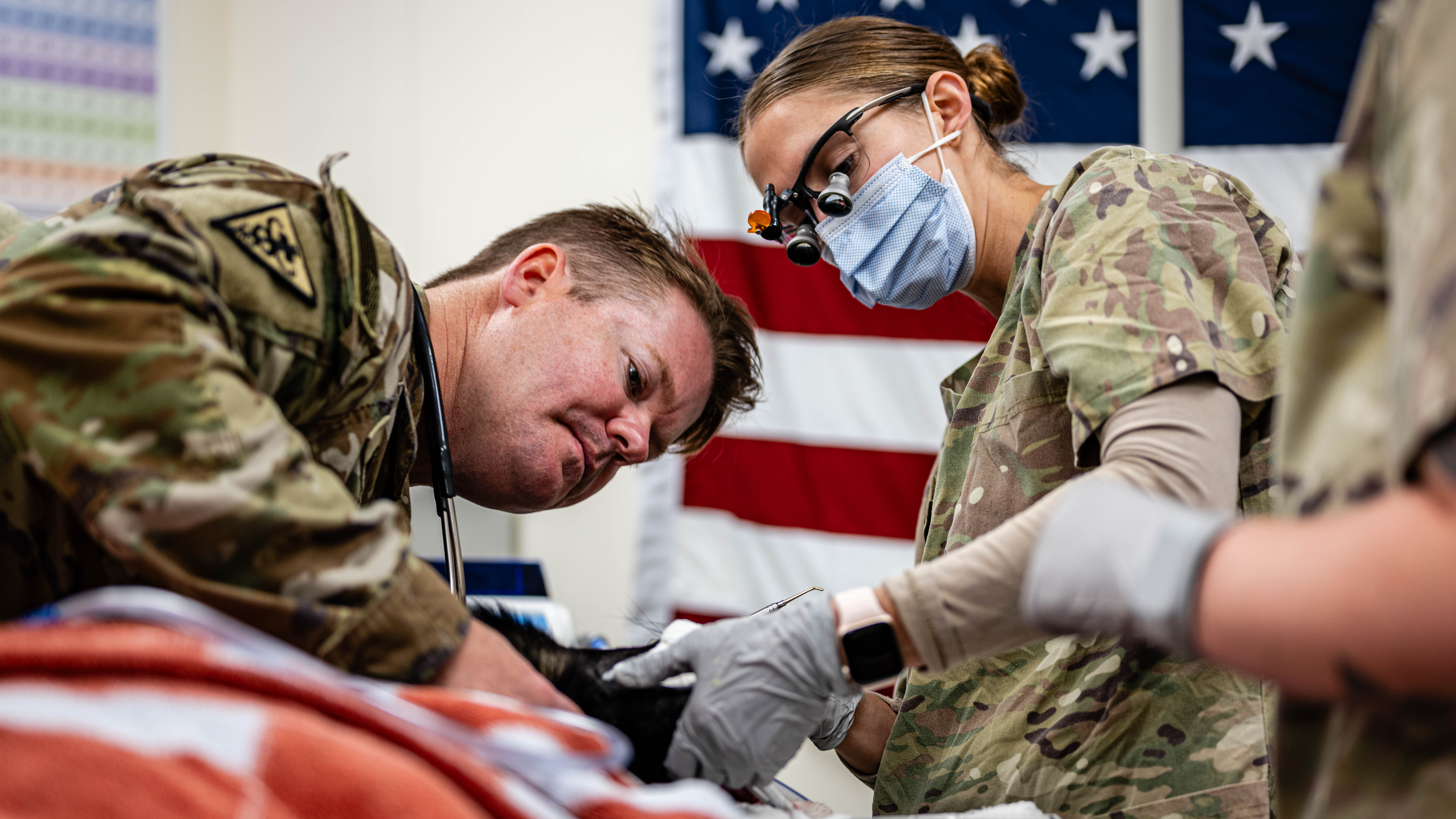 379th EMDS perform root canal procedure on military working dog > U.S. Air Forces Central ...