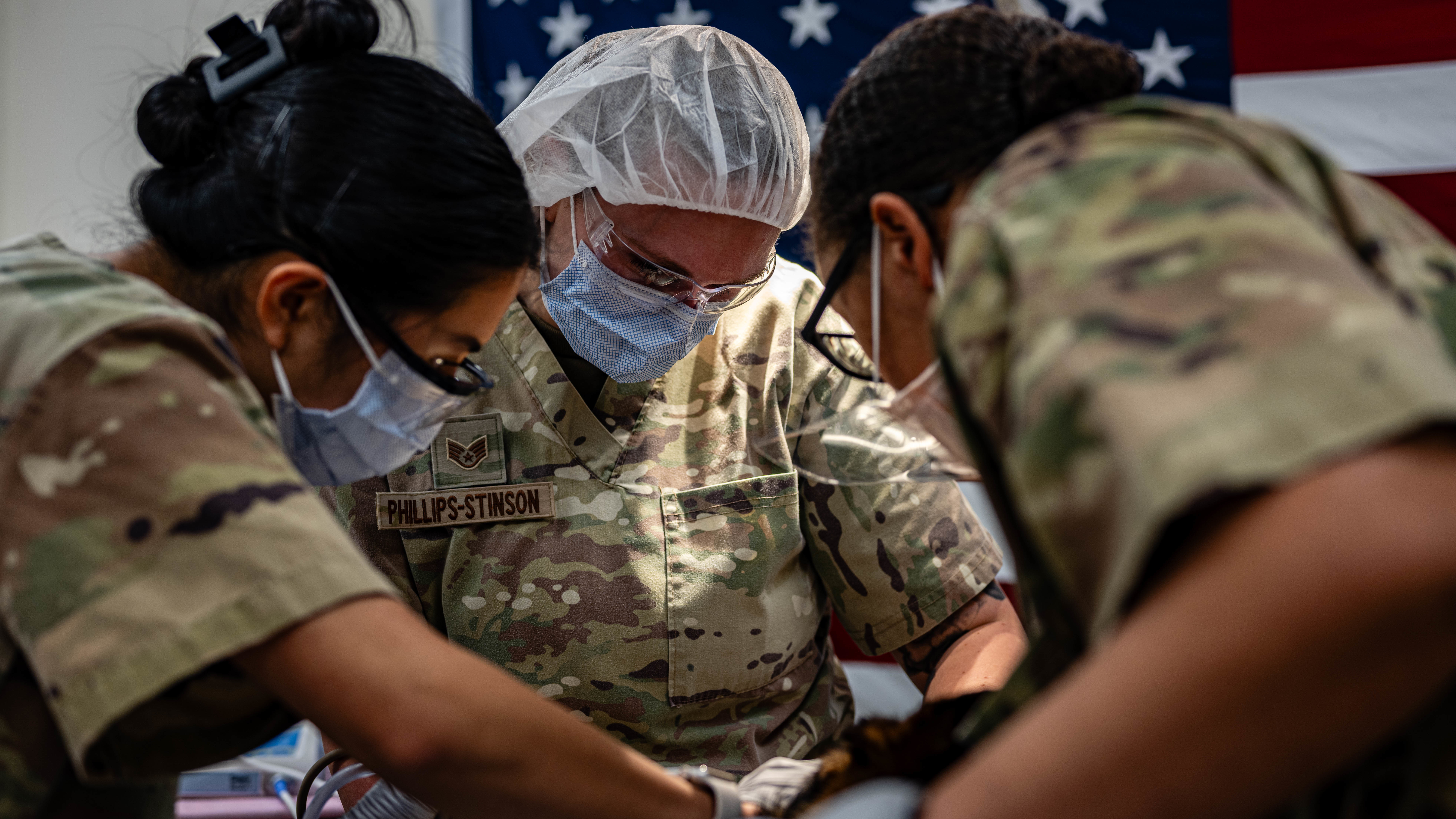 379th EMDS perform root canal procedure on military working dog > U.S ...